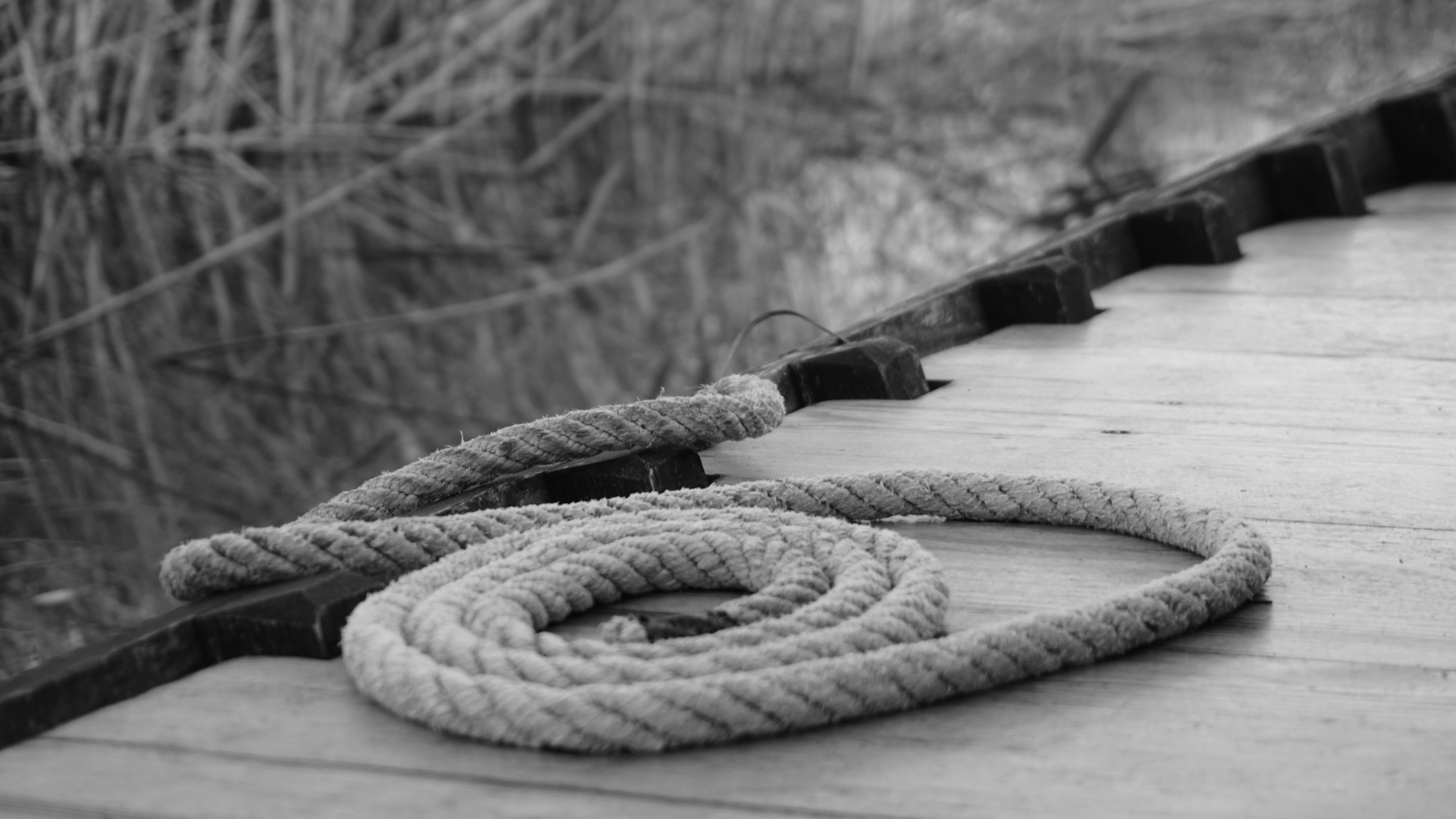 Francisco Torrado - Fotografía