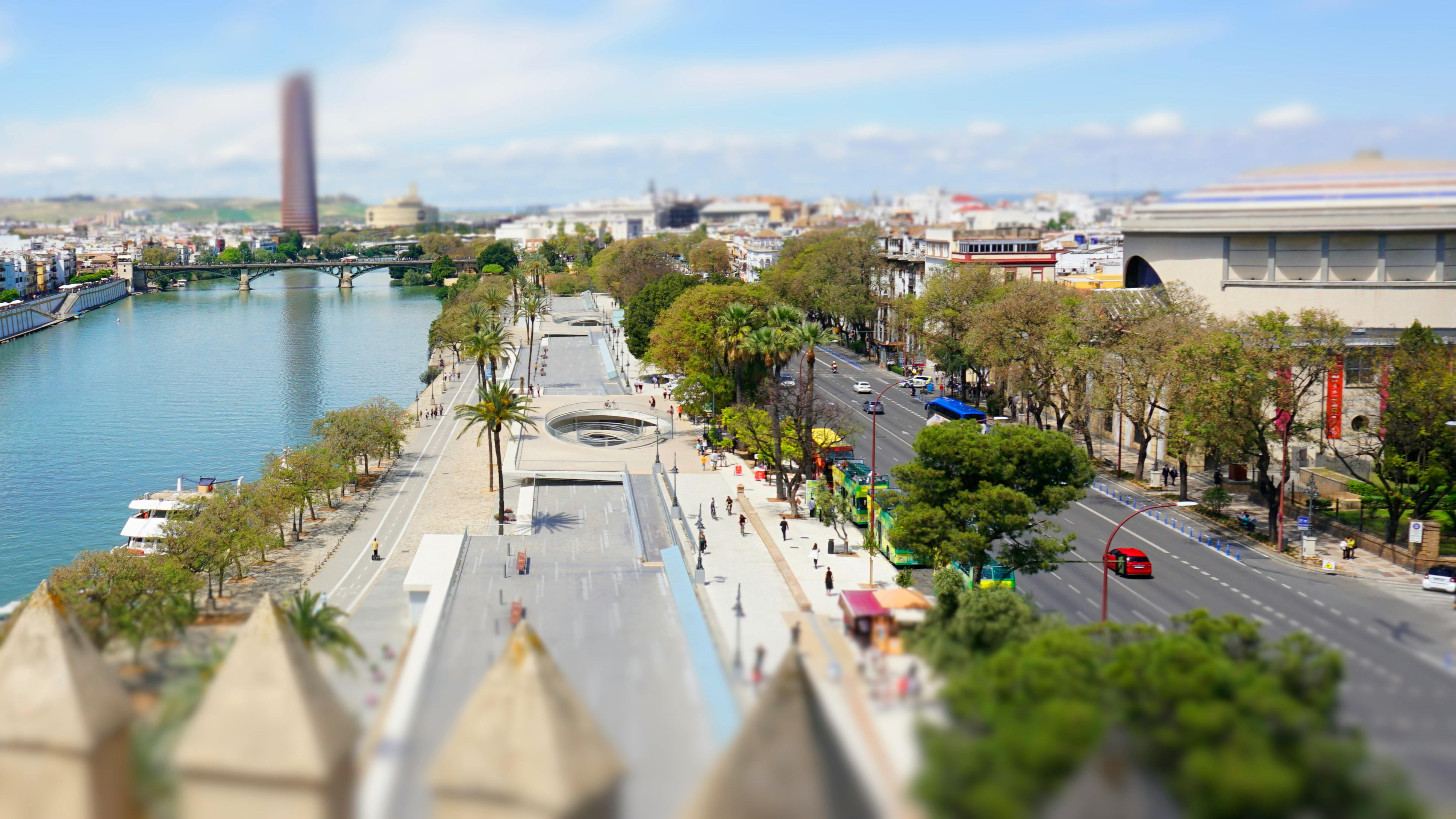 Francisco Torrado - Fotografía