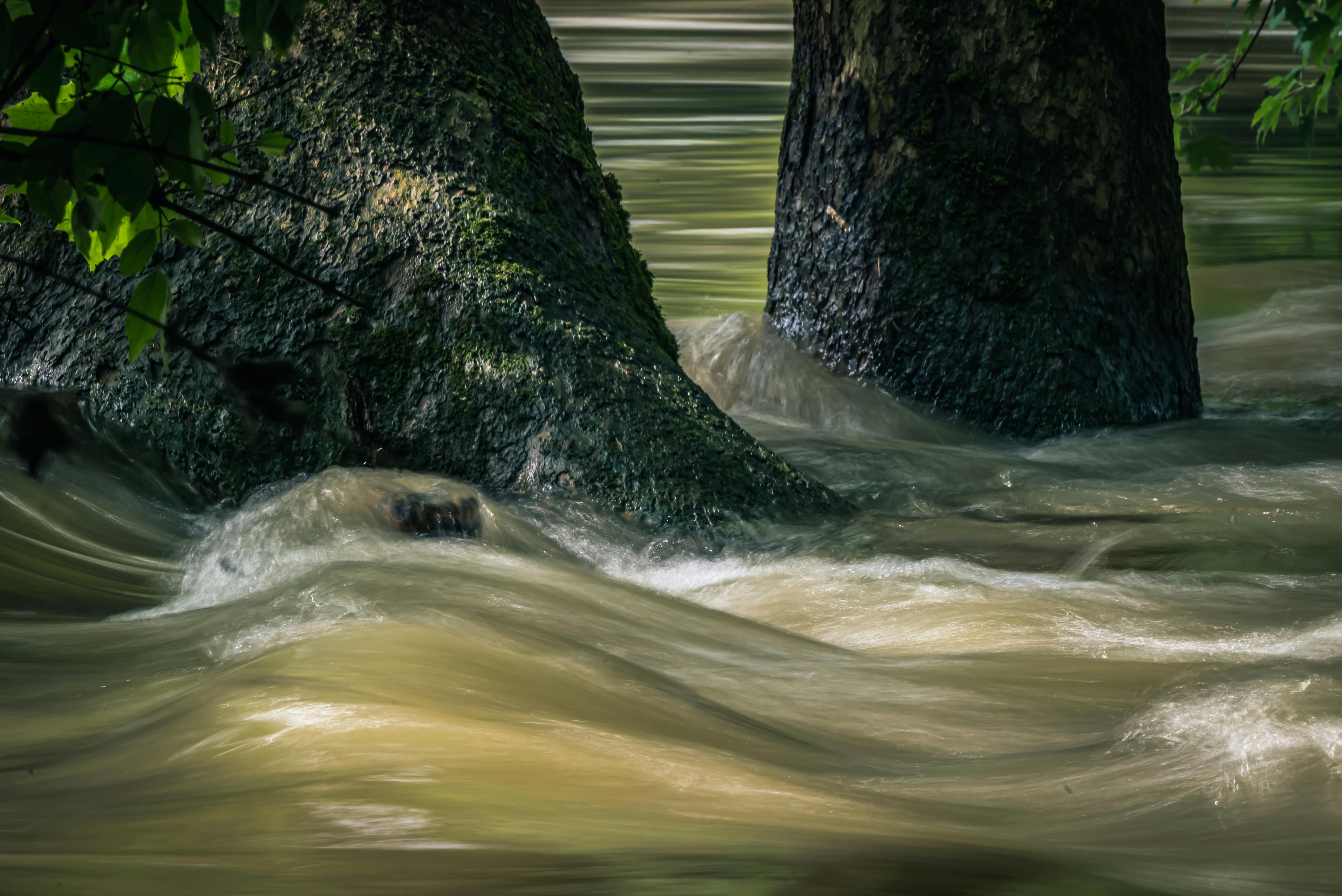 Body of Water Between Gray Stone Ground and Green Trees during Daytime ...