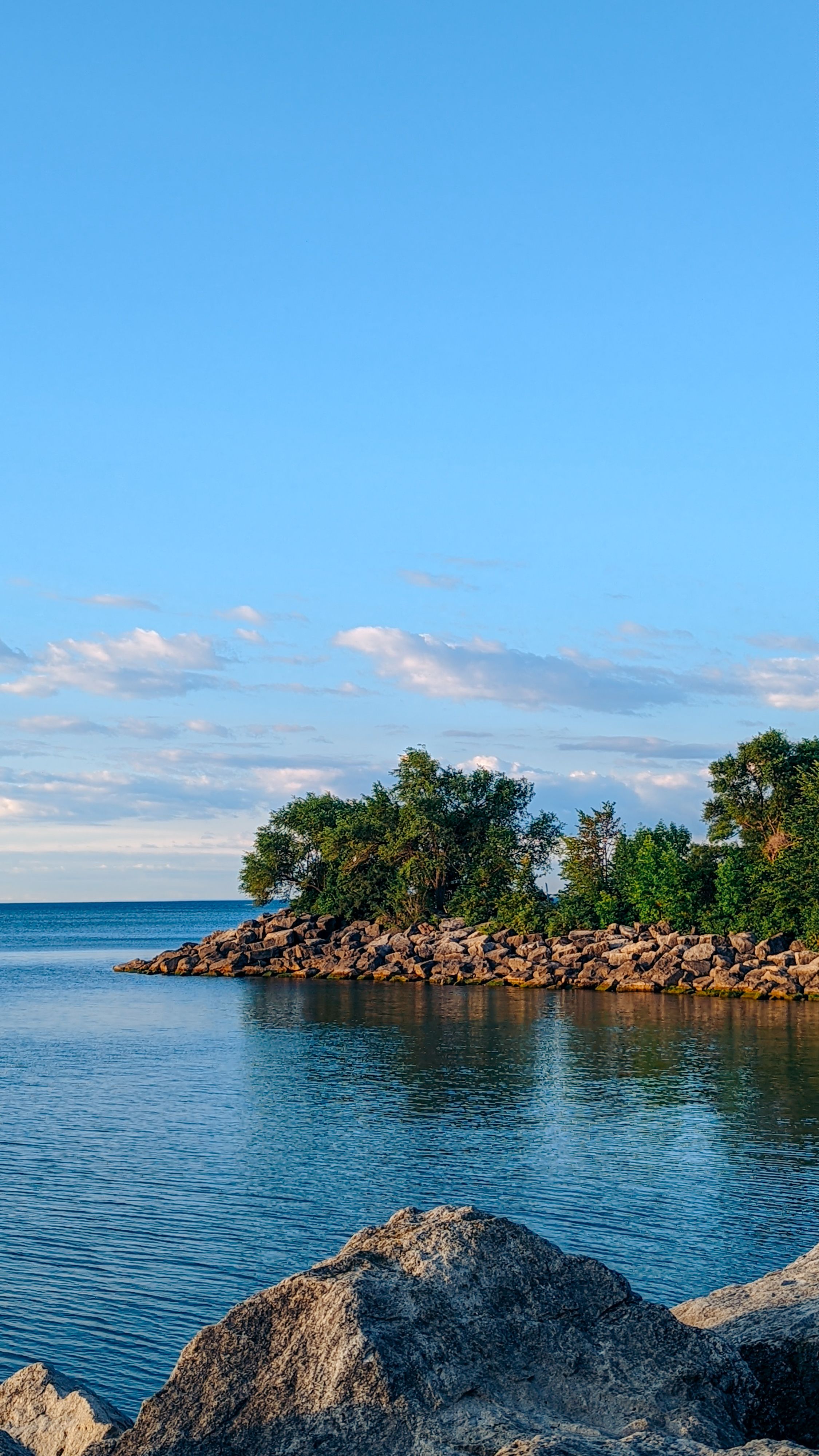 Seashore with Trees near Water · Free Stock Photo