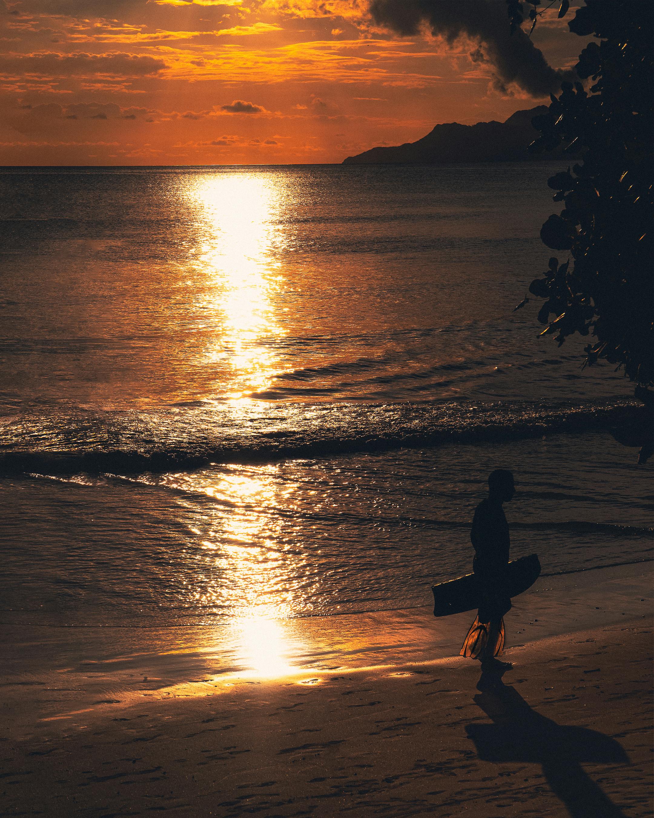 Man Standing on Shore · Free Stock Photo