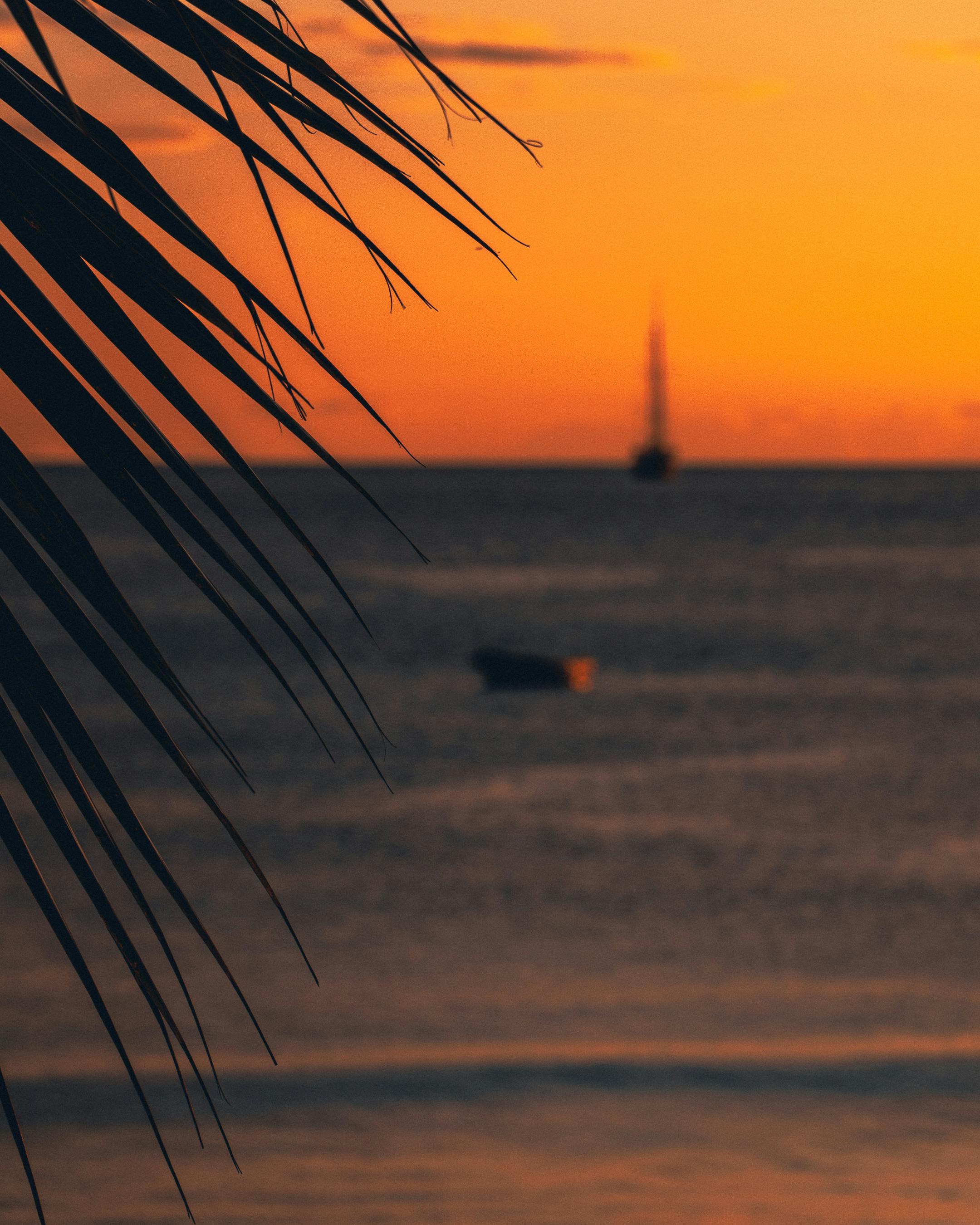 Blurred Photo of Sunset over the Sea Horizon · Free Stock Photo