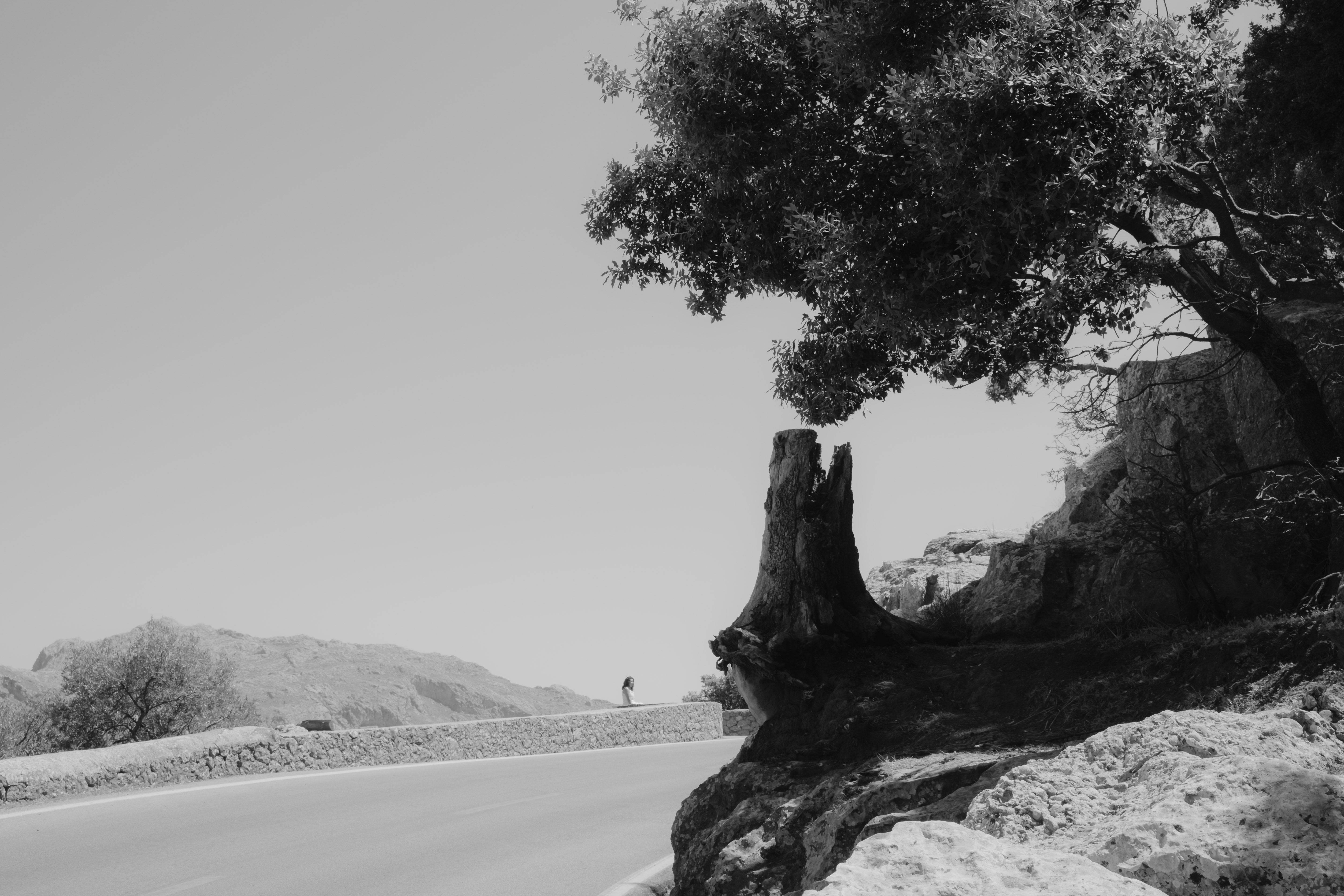 Tree and Rock Formation Beside a Road · Free Stock Photo