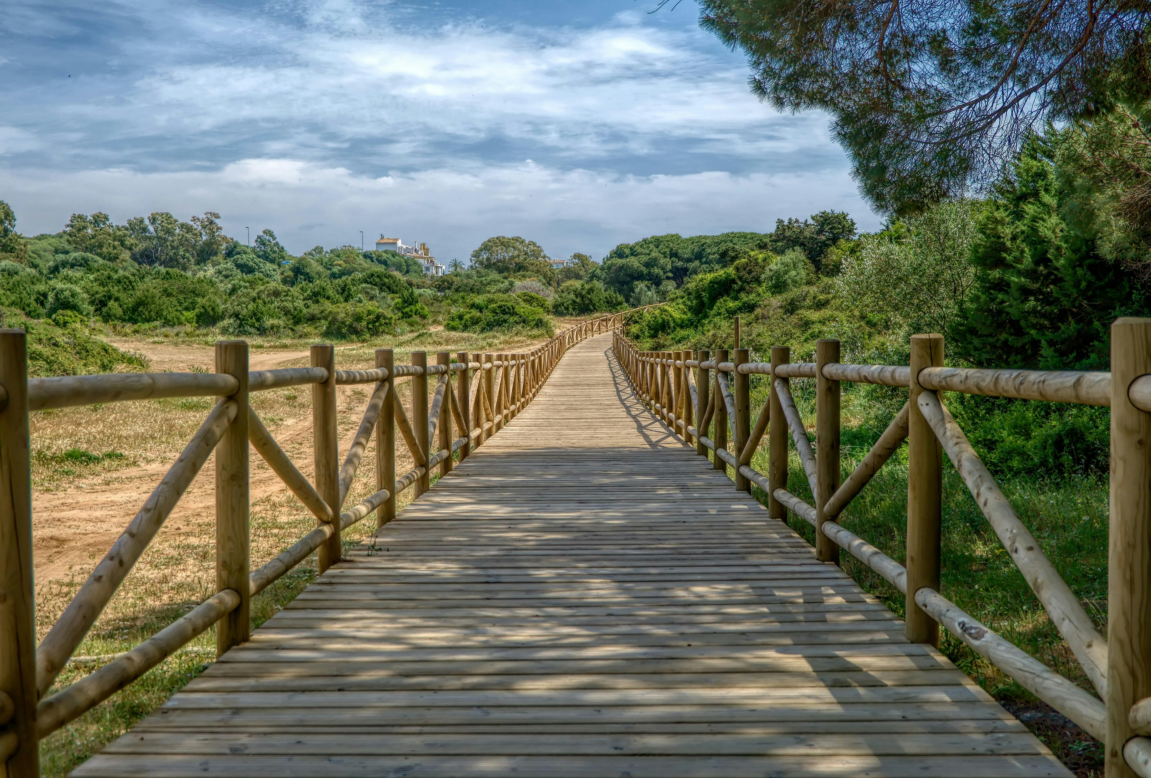 Footpath Tripp[Ing Photos, Download Free Footpath Tripp[Ing Stock ...