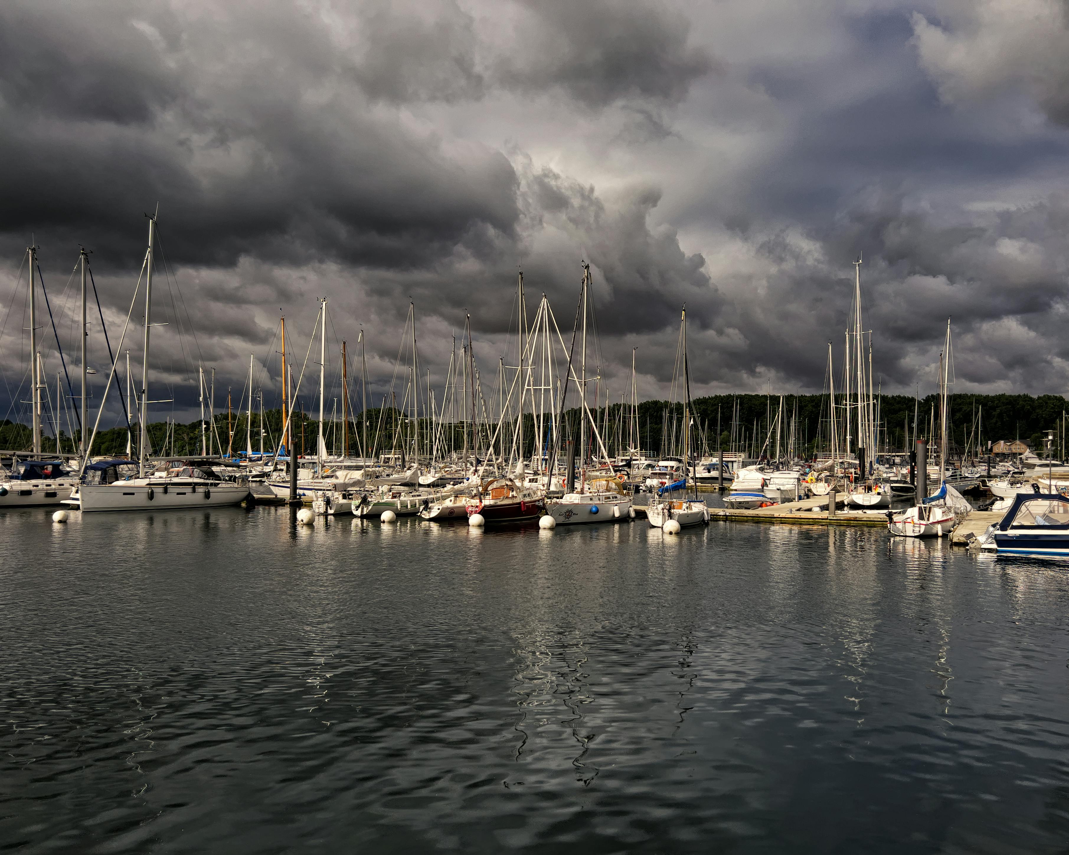 Sailboats Docked on the Harbor · Free Stock Photo