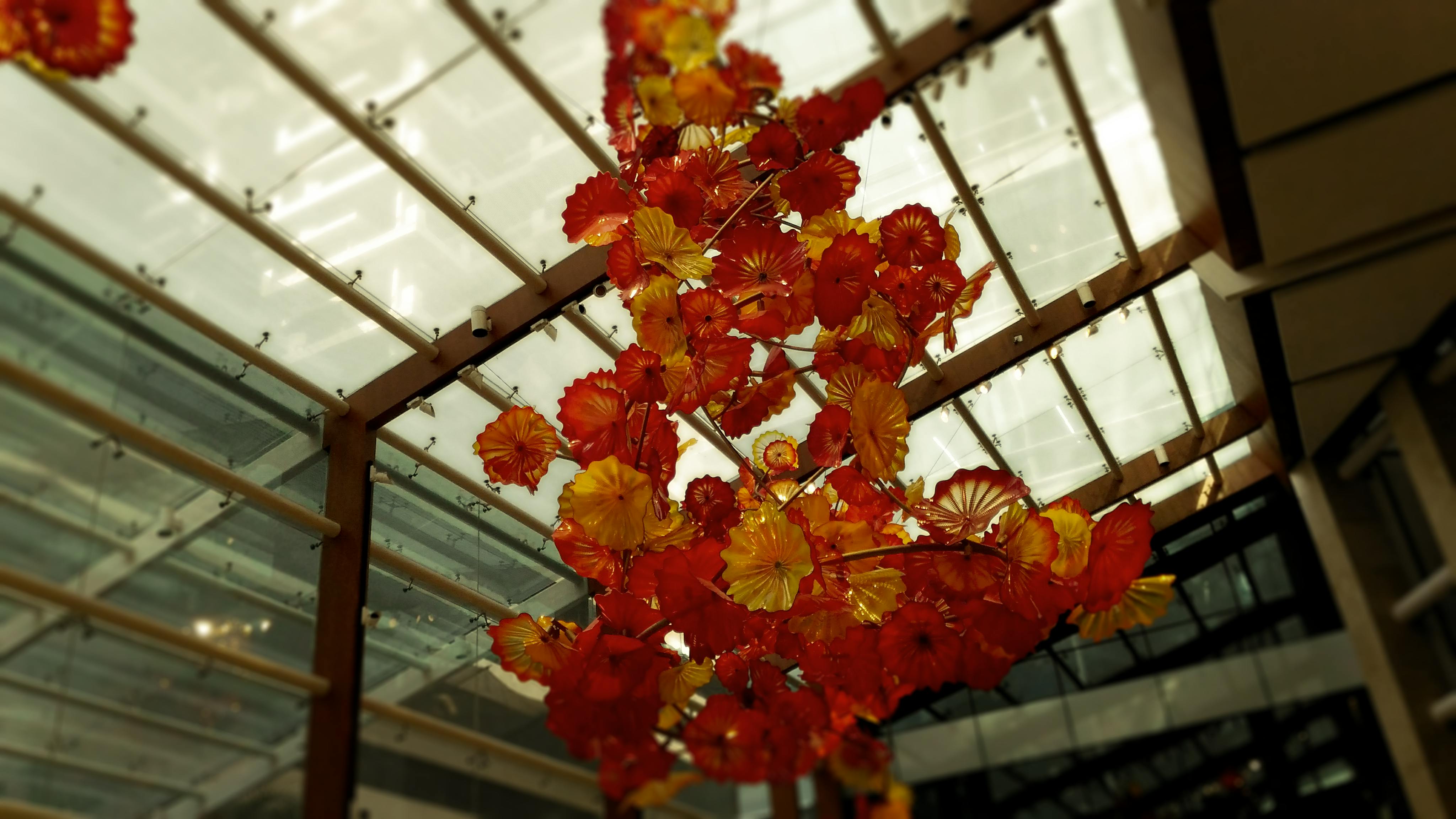 Anamitra Dasgupta - Photography