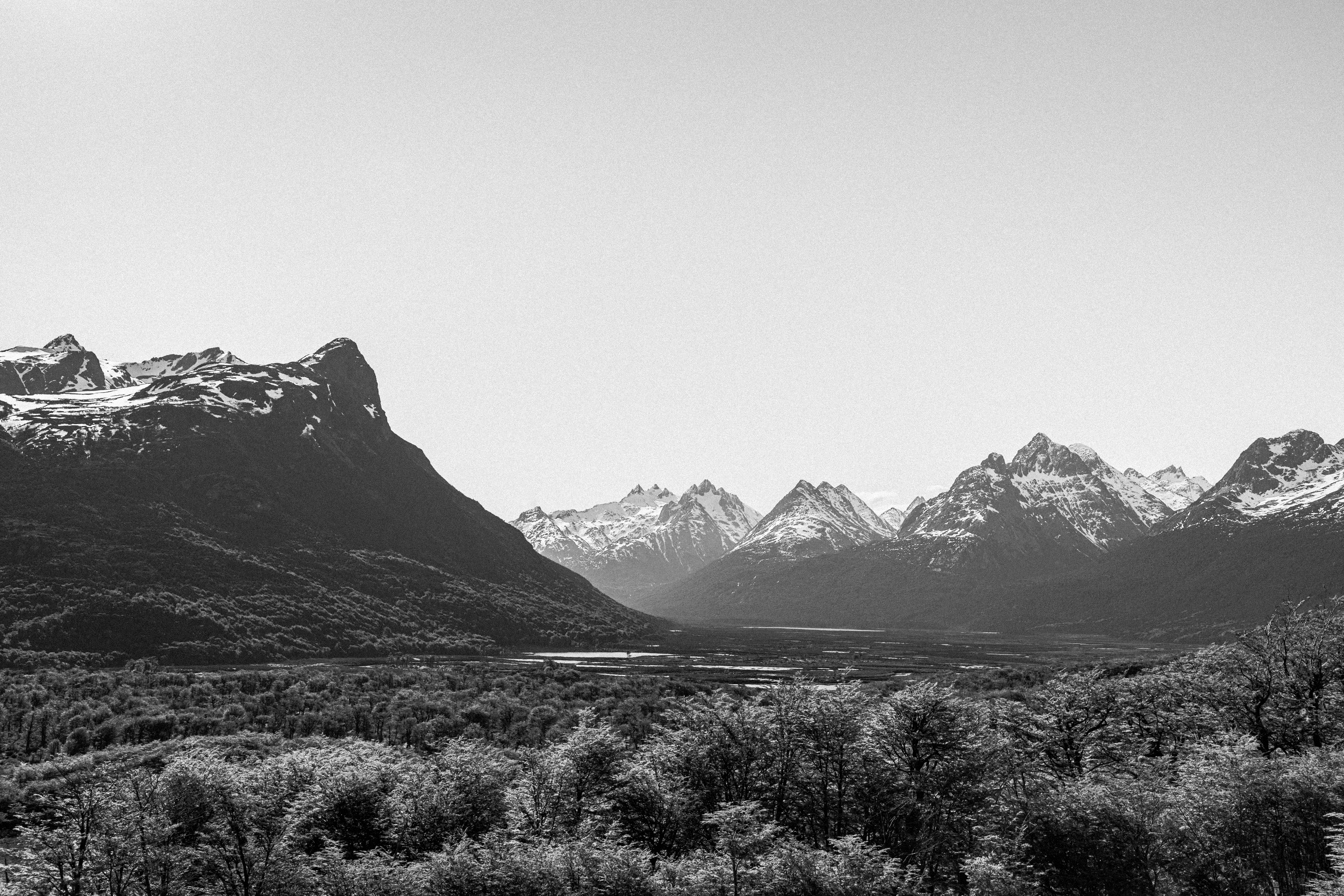 Grayscale Photo of Mountains and Trees · Free Stock Photo