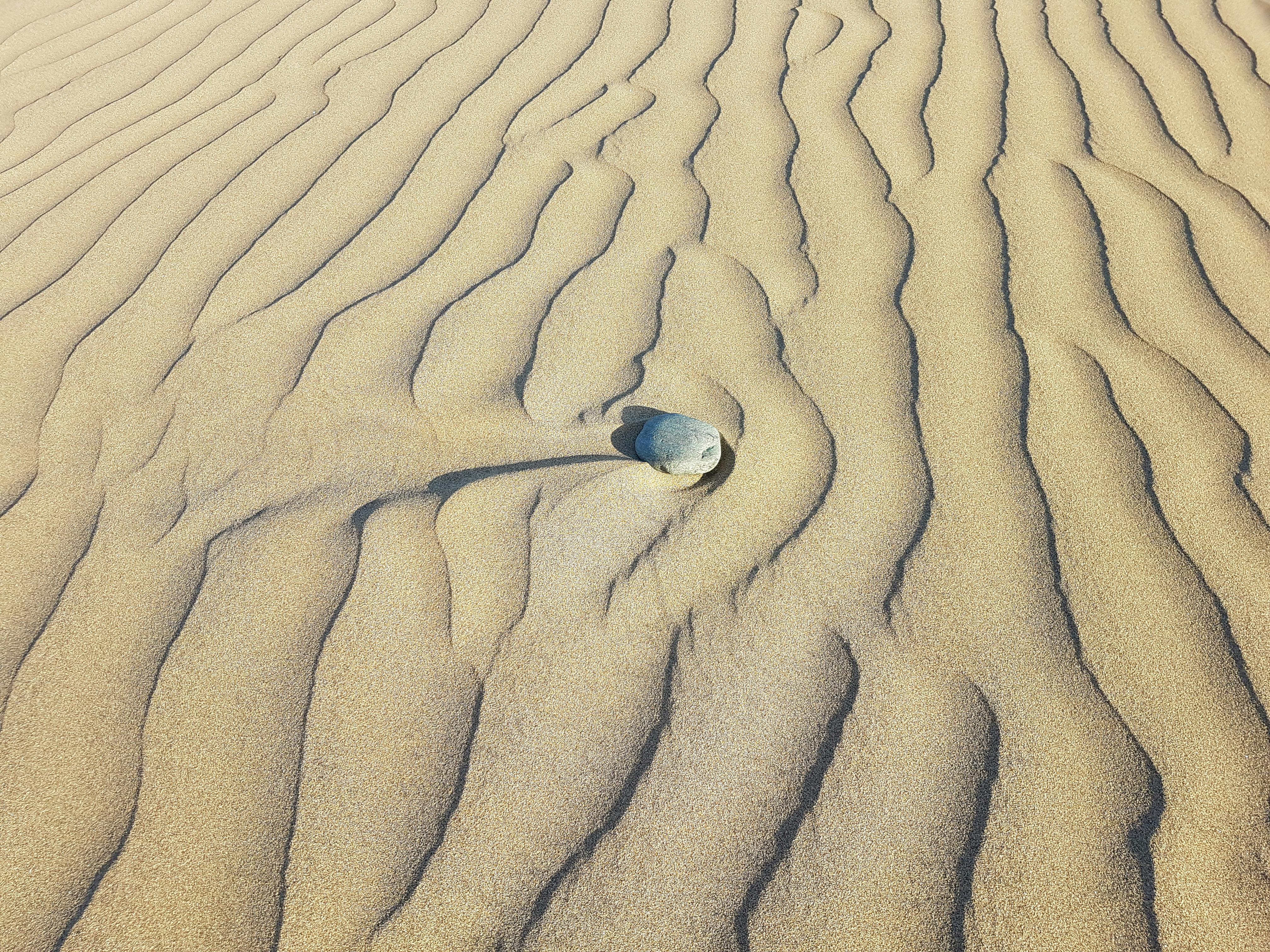 Wind Pattern on Sand · Free Stock Photo