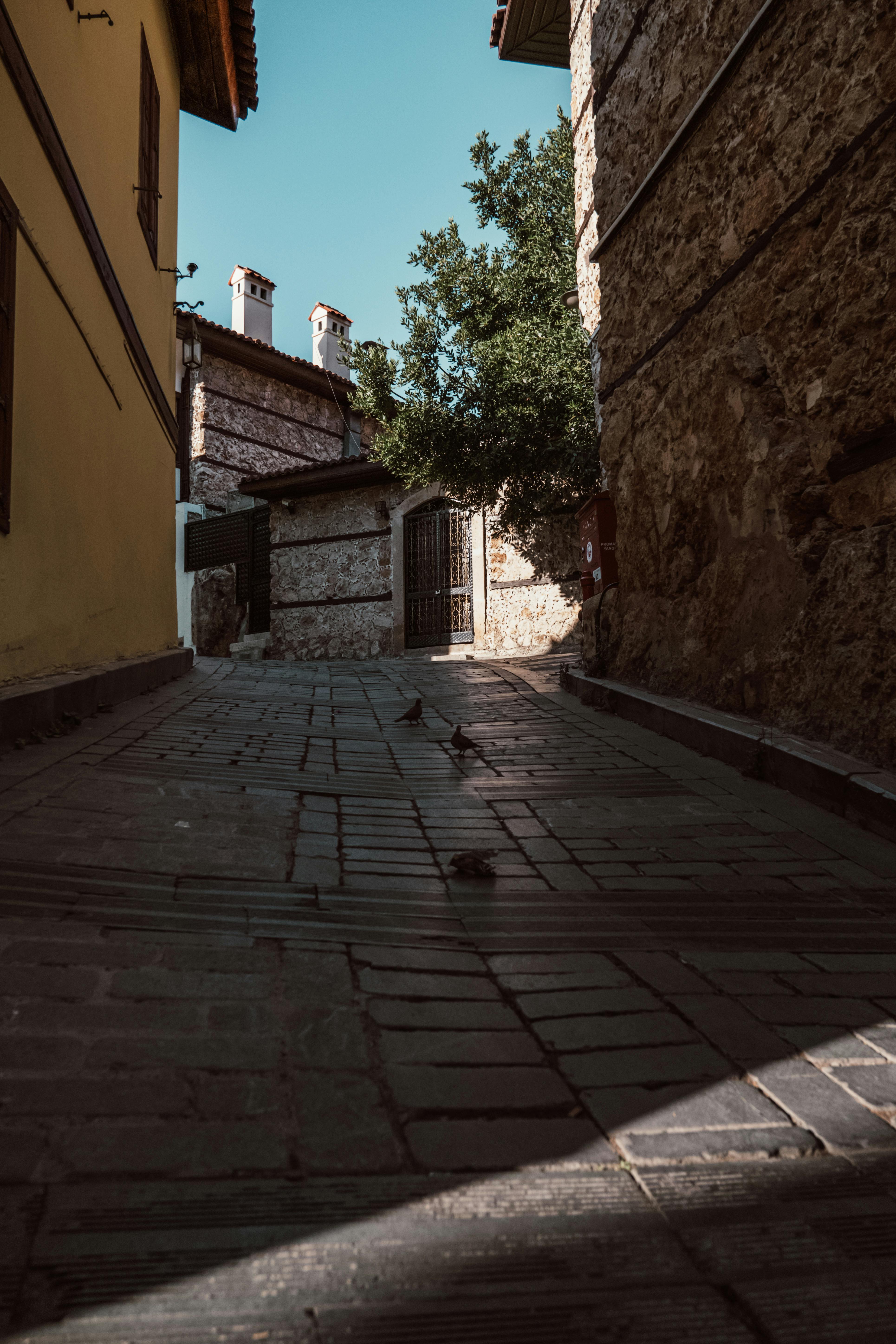 Old Town Alley Between Traditional Buildings · Free Stock Photo
