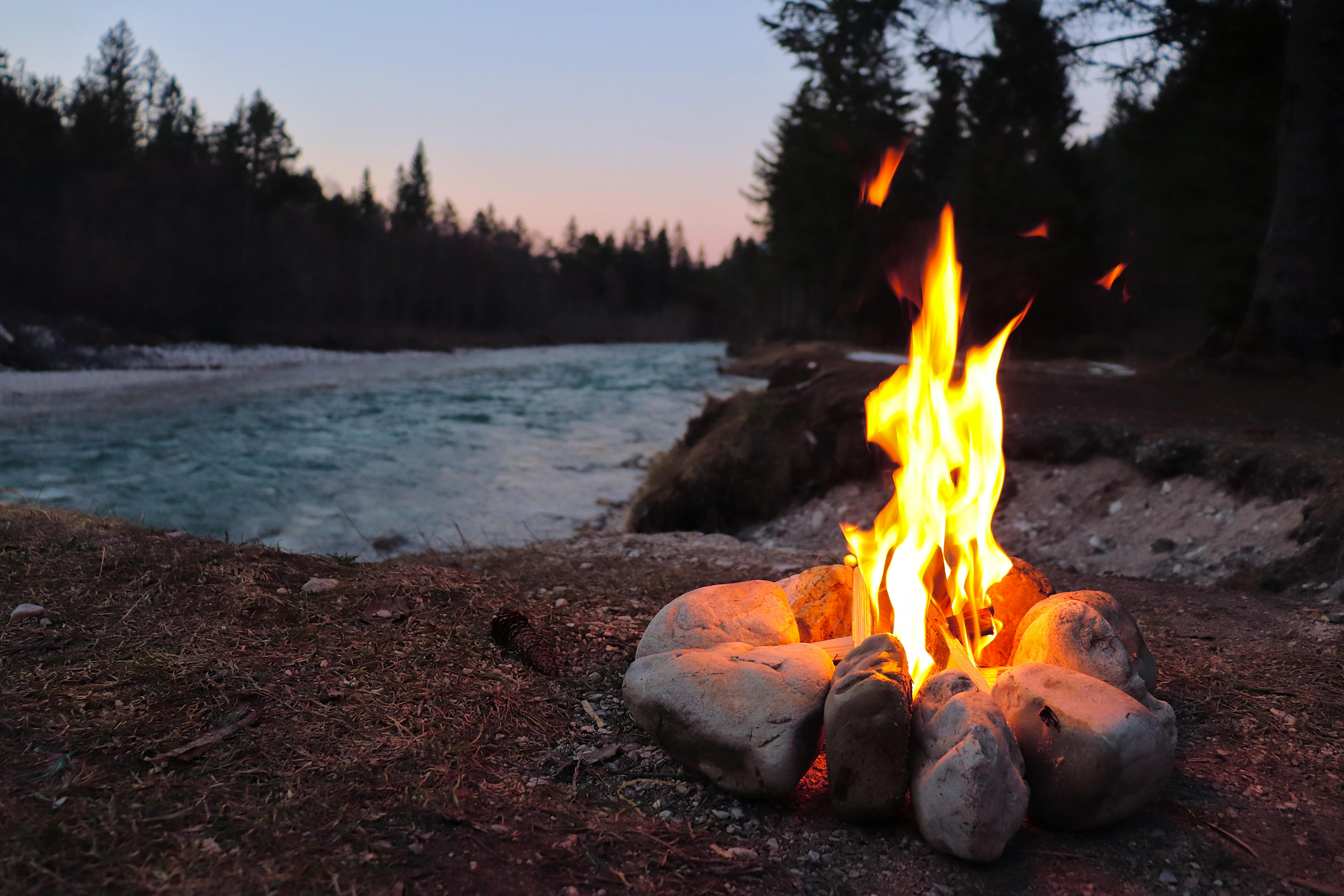 Campfire Along the River with Trees · Free Stock Photo