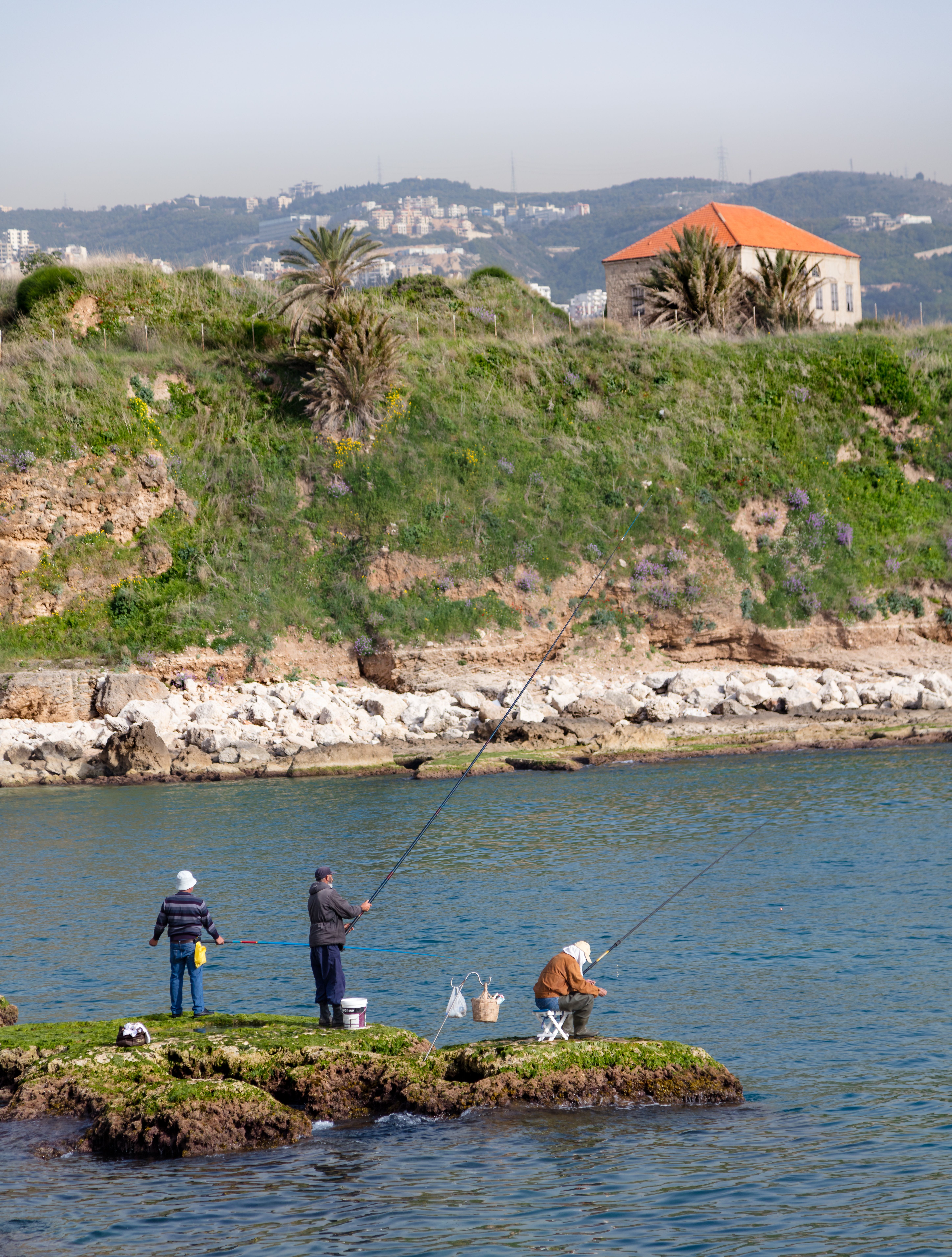 Men Fishing on the Shore · Free Stock Photo