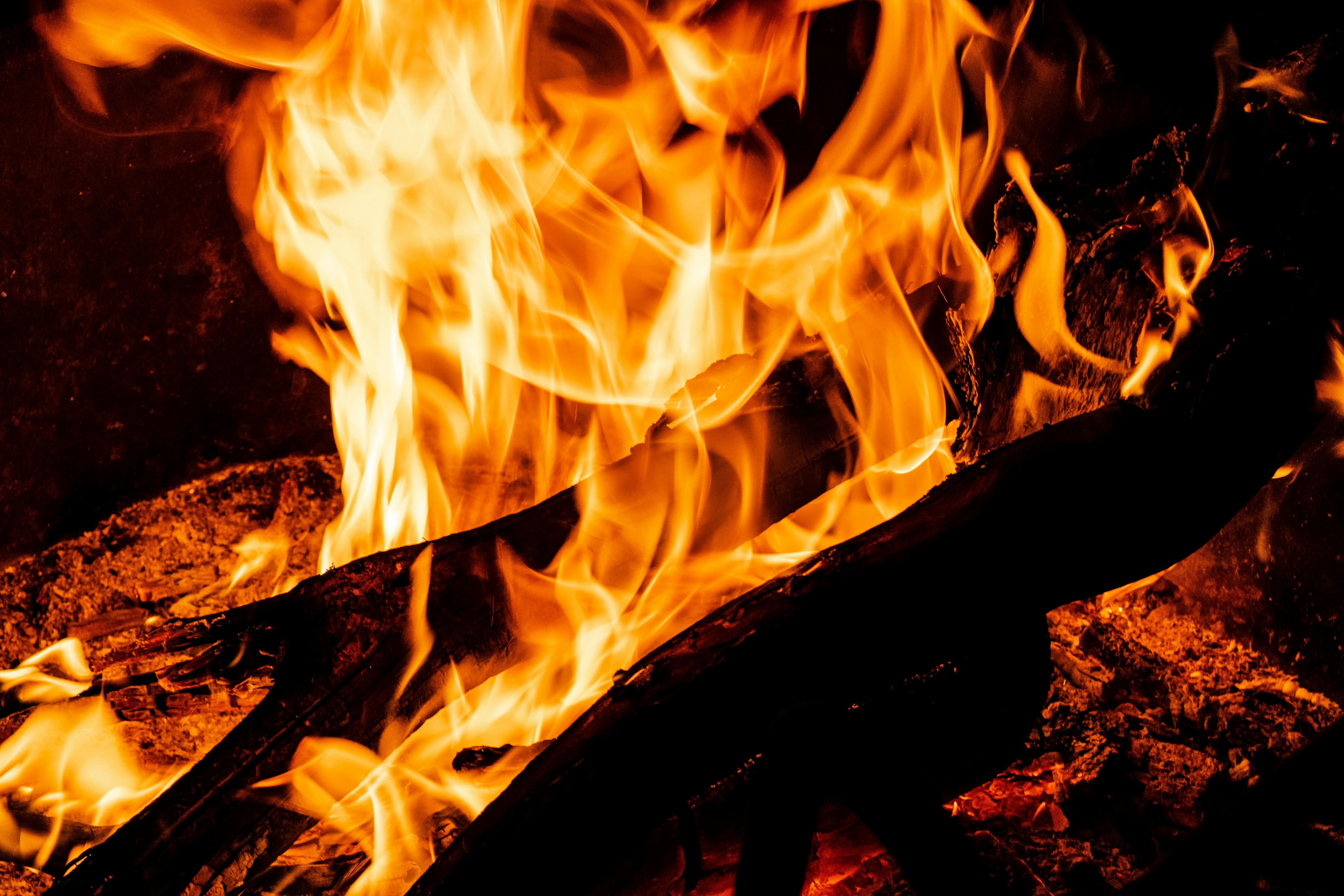 Free stock photo of bonfire, camp, camping