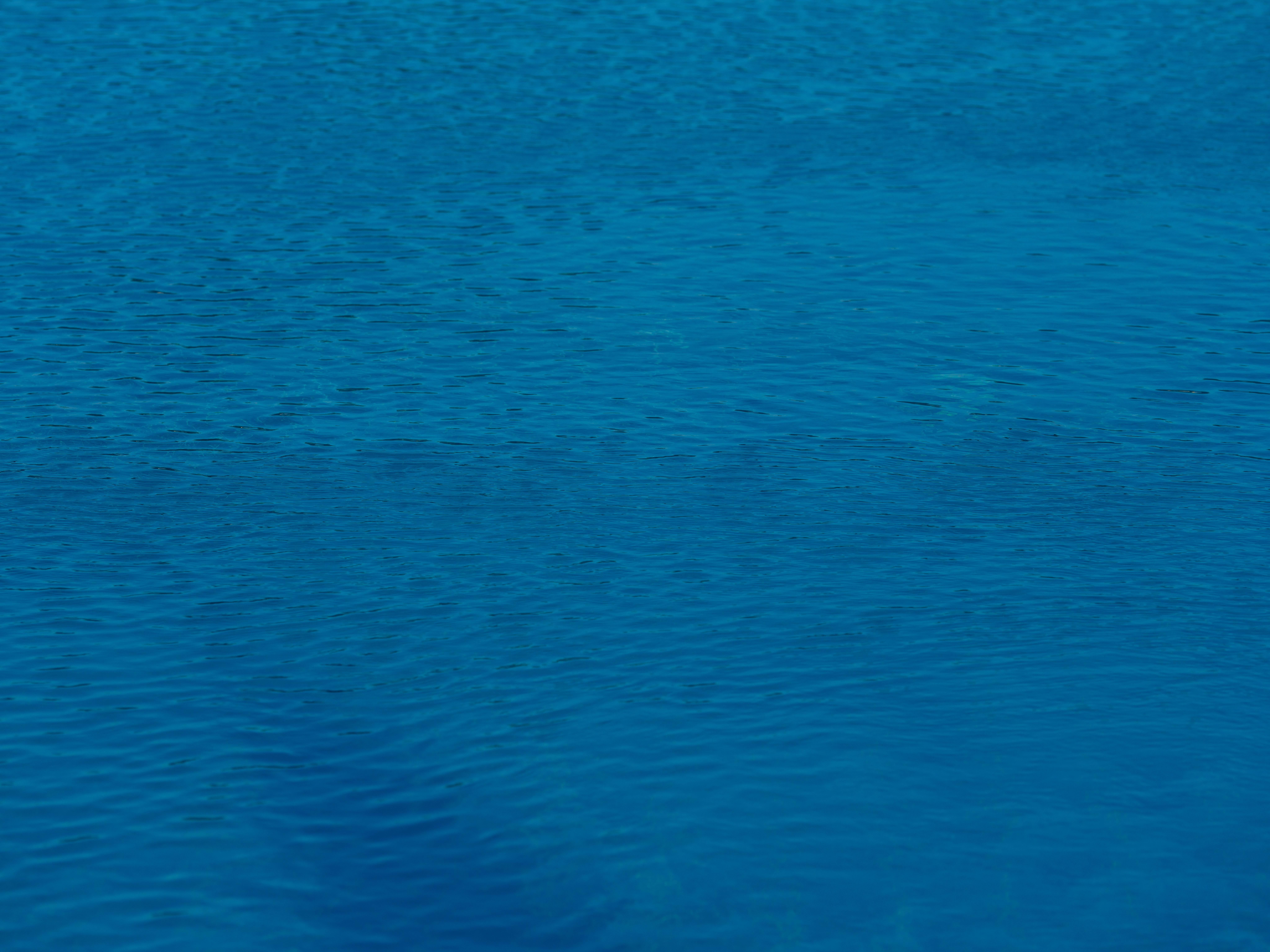 Photo of a Calm Blue Sea · Free Stock Photo