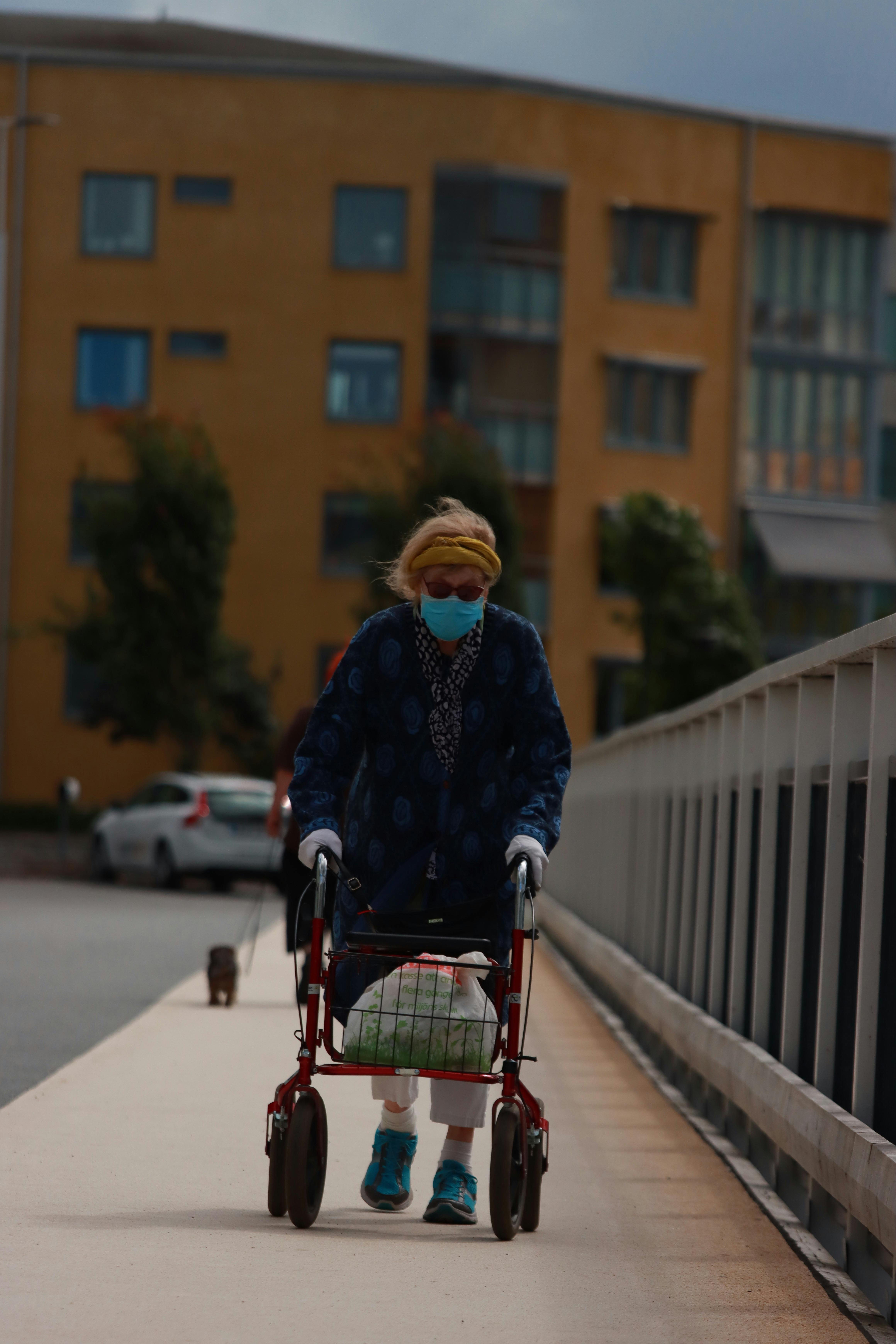 220+ Best Free Pixabay Stock Photos & Images · 100% Royalty-Free HD ...