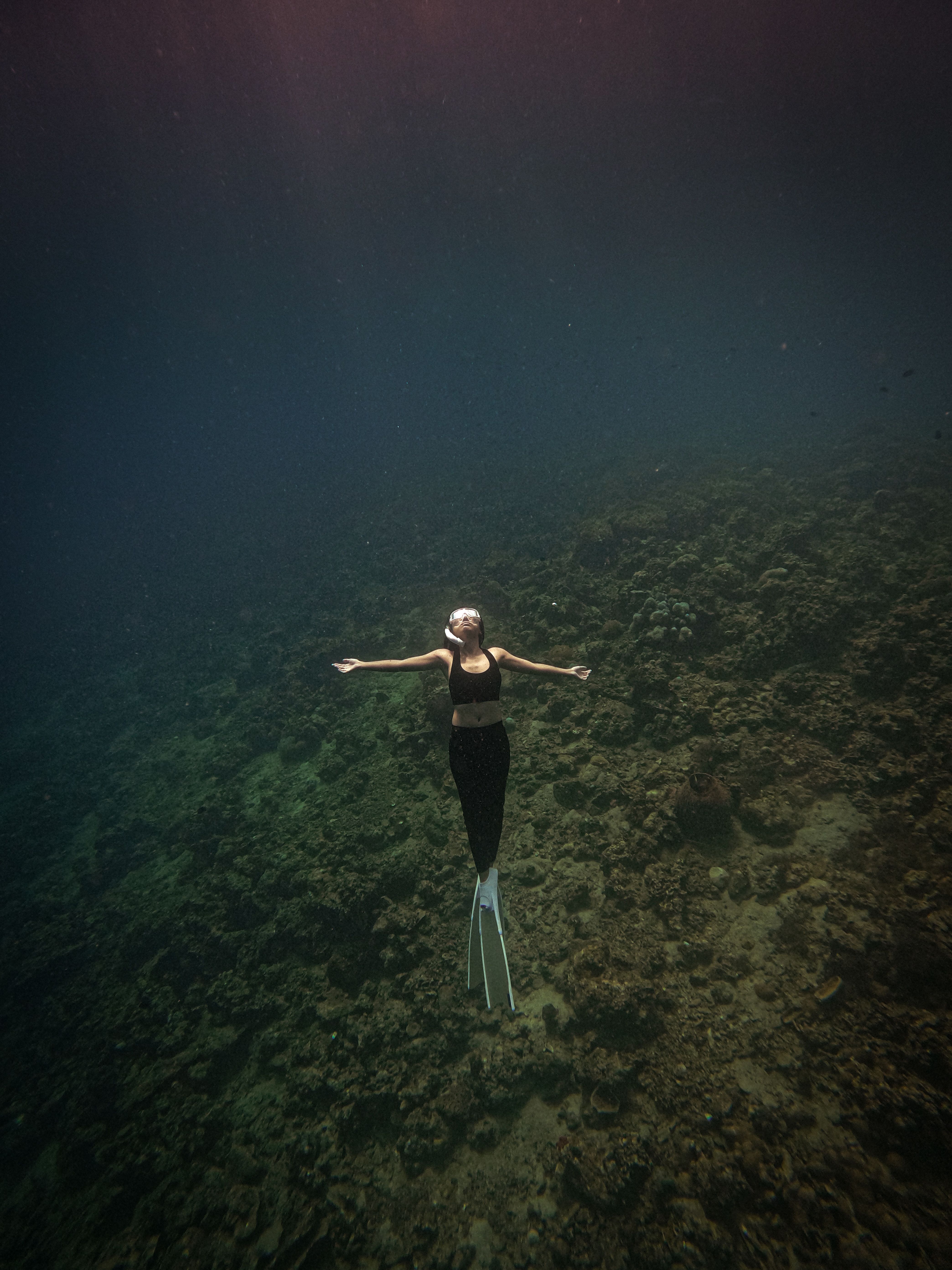 12,035+ Best Free Free diving Stock Photos & Images · 100% Royalty-Free ...