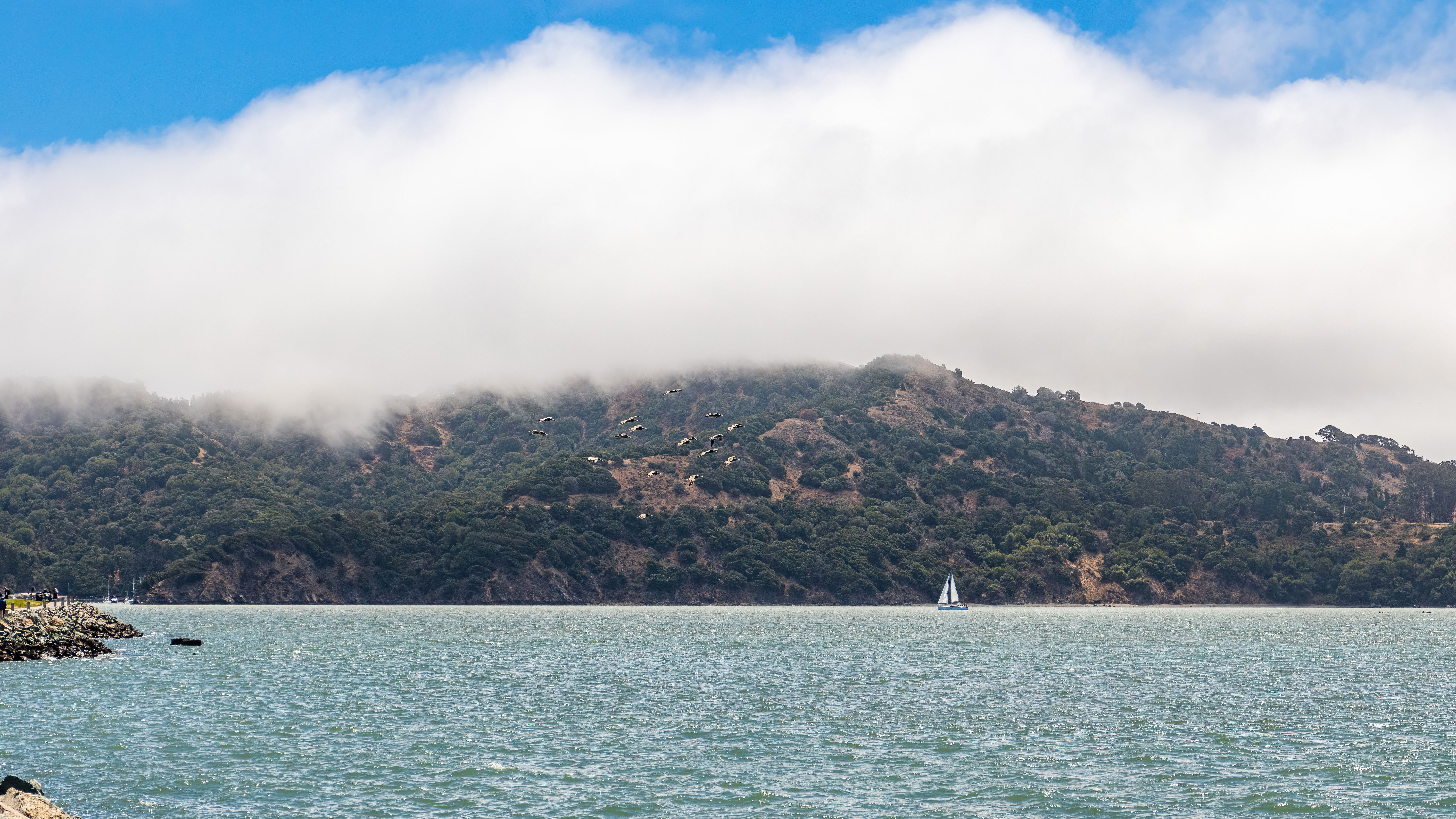 Coast of the Angel Island, San Francisco Bay, California · Free Stock Photo