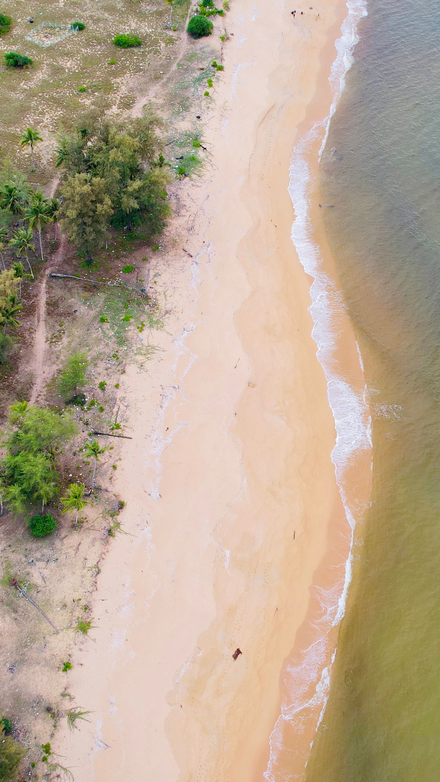 Drone Shot of a Beach · Free Stock Photo