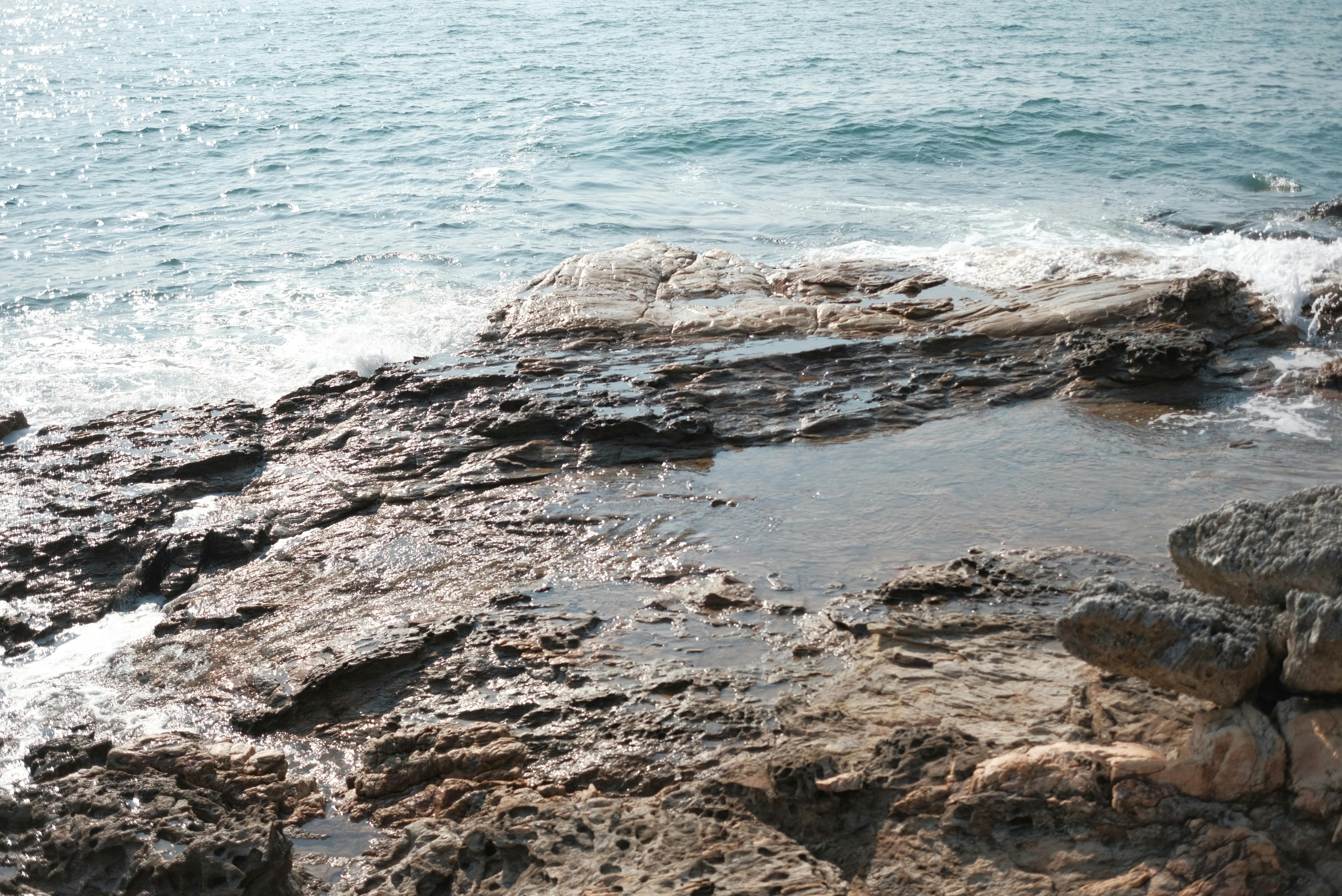 A Rocky Seashore · Free Stock Photo