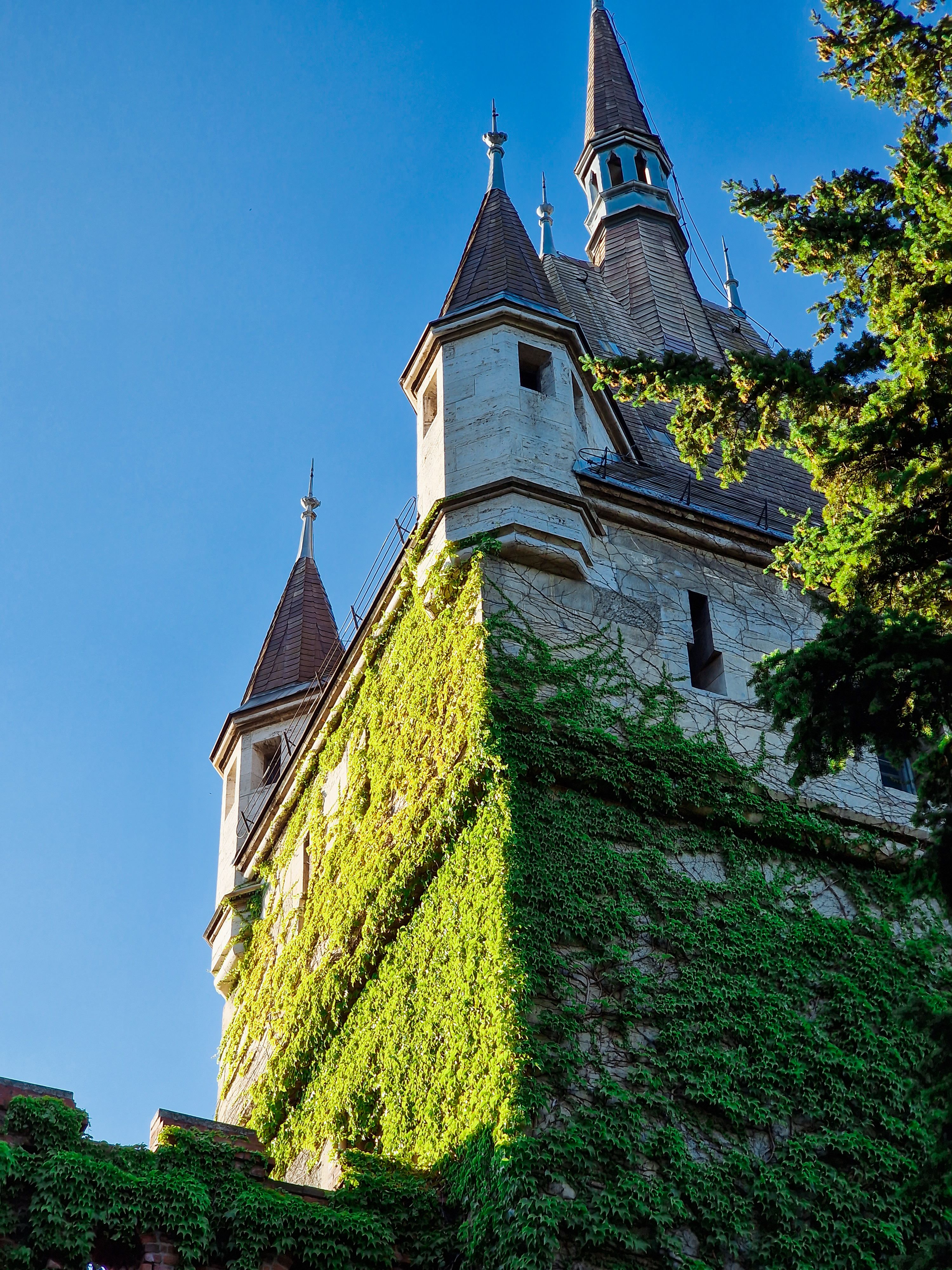 Medieval Structure Under Blue Sky · Free Stock Photo