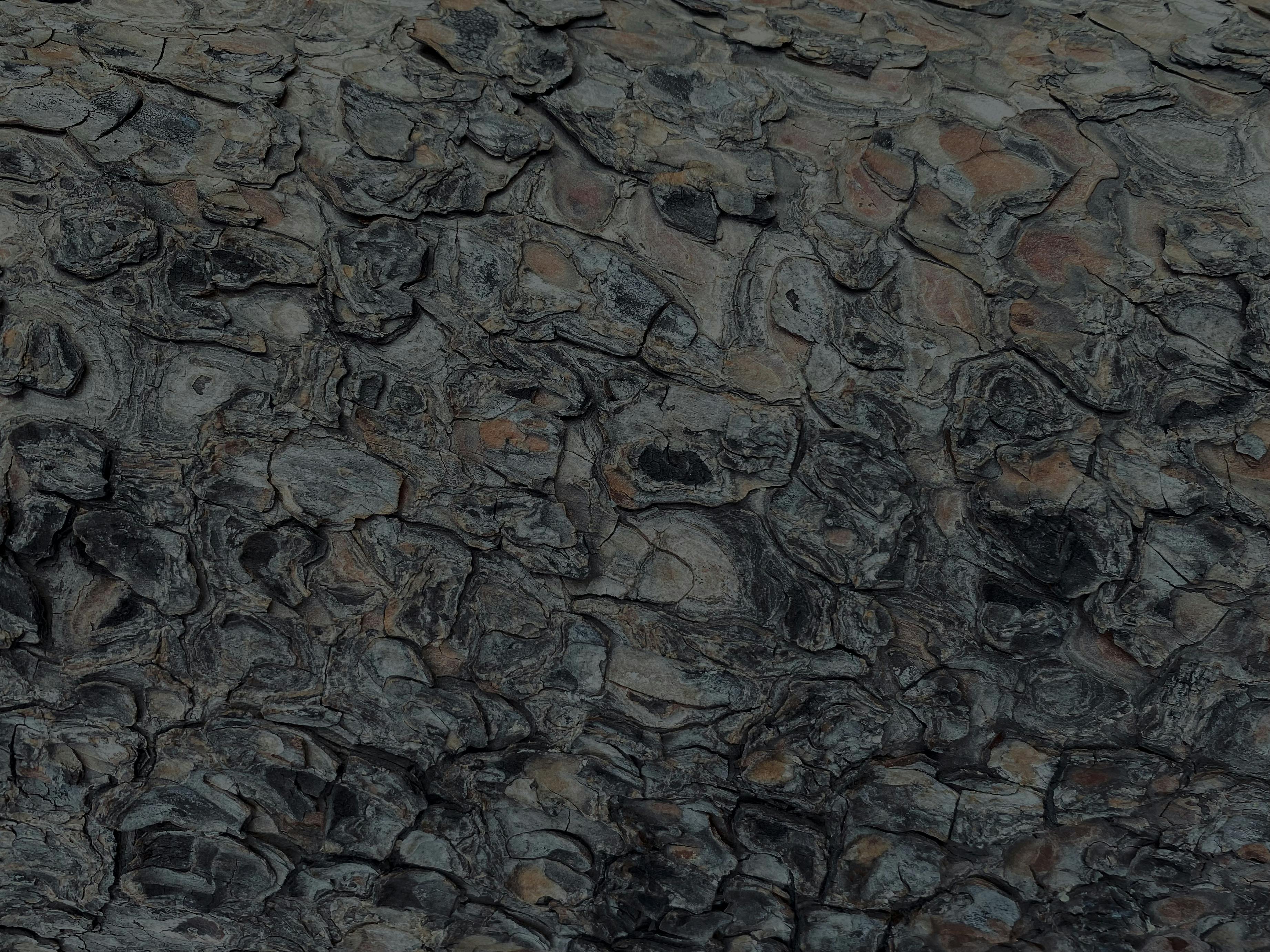 Rough Surface · Free Stock Photo