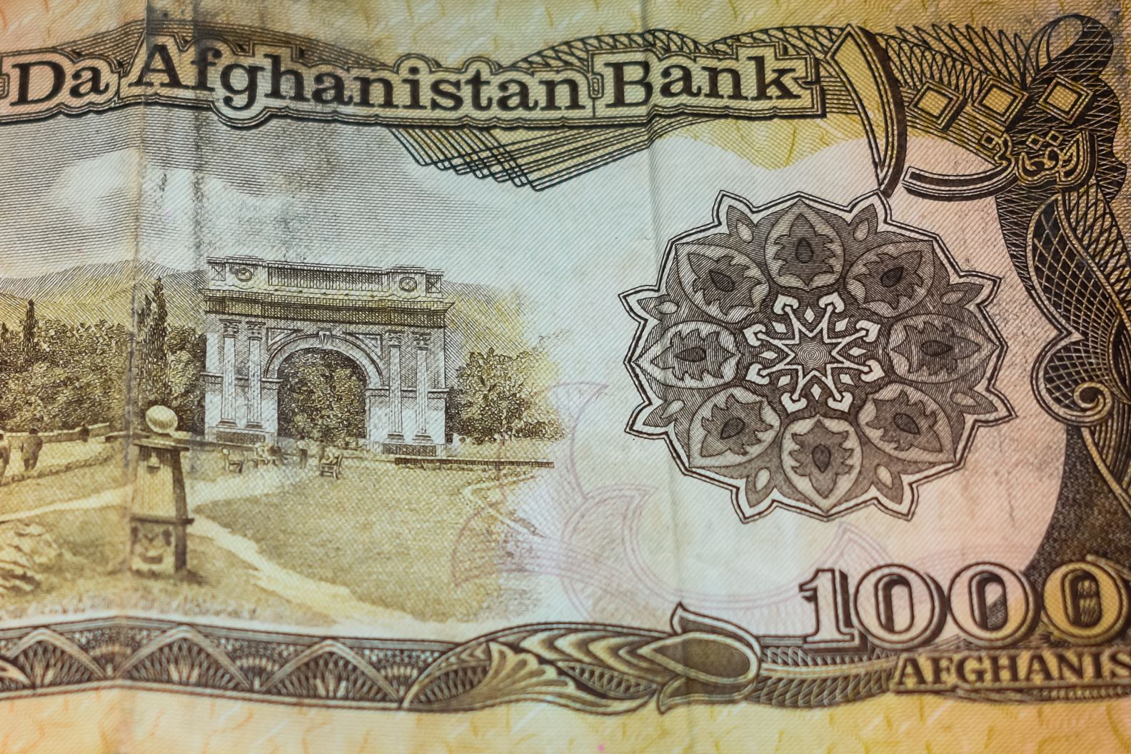 Colón (Currency): Basics and International Usage Guide