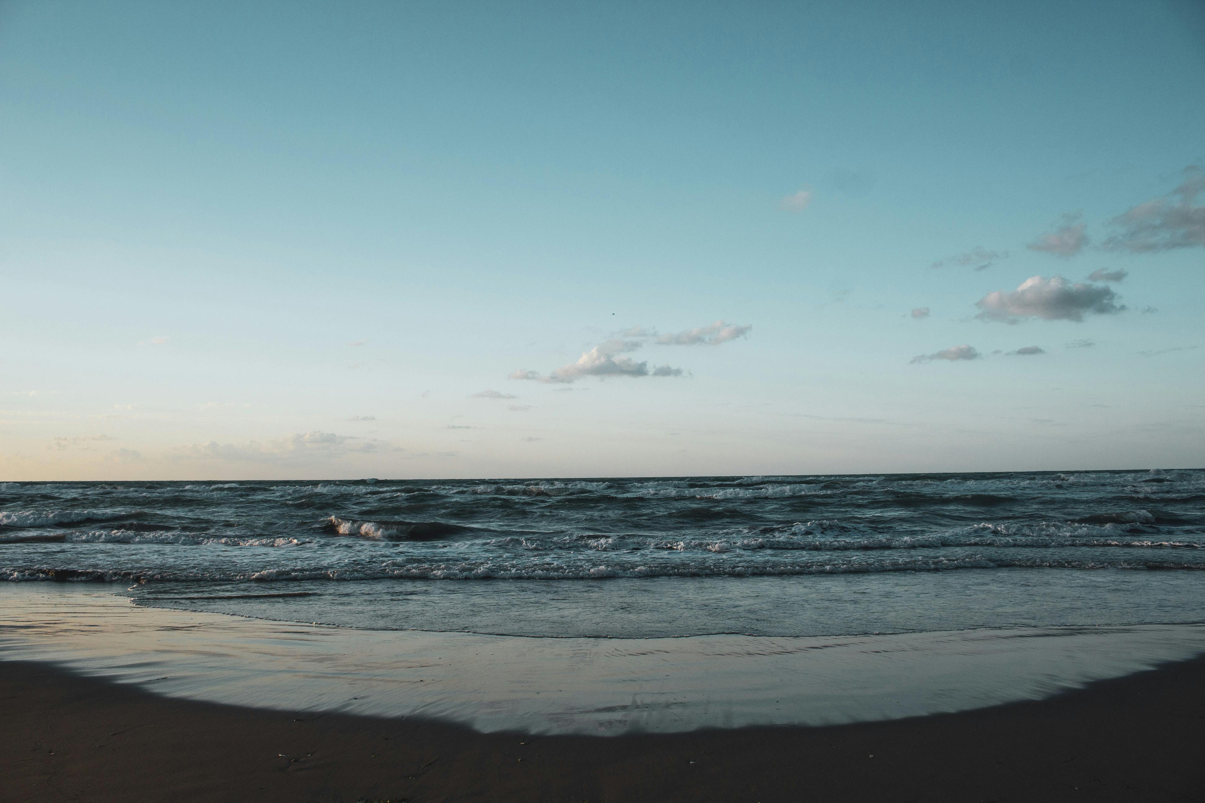 Beach Under the Blue Sky · Free Stock Photo