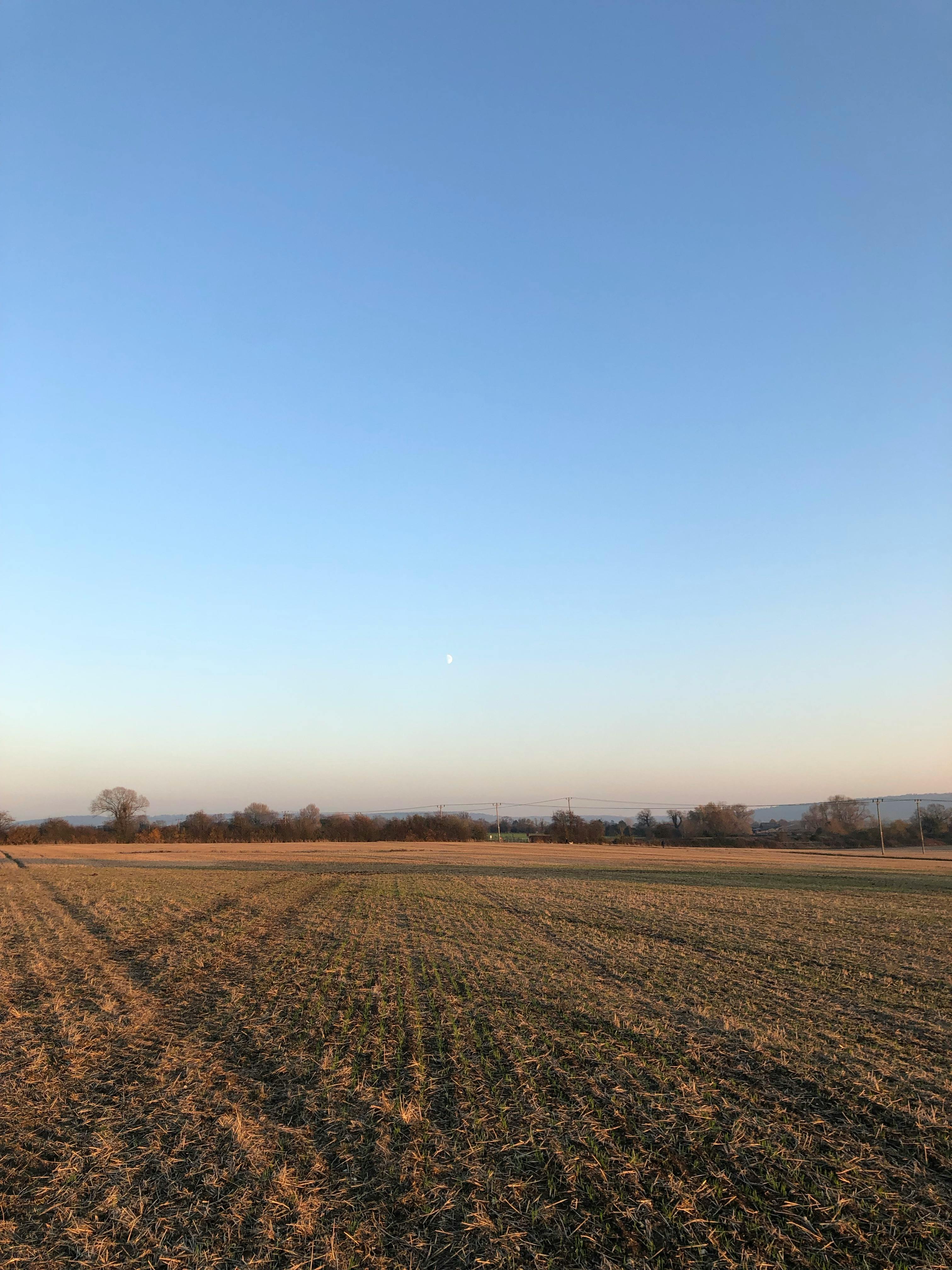 Brown Field Under Blue Sky · Free Stock Photo
