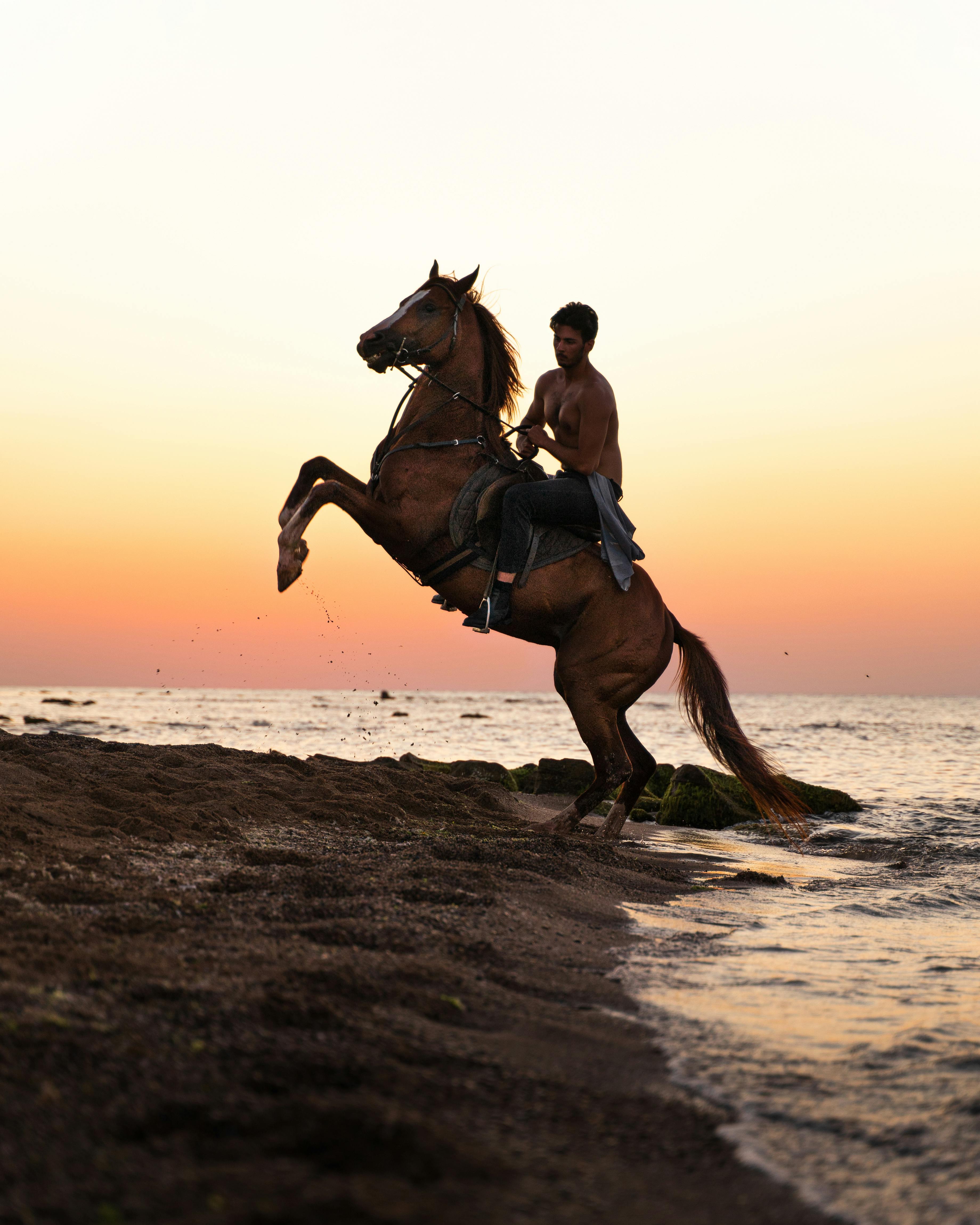 A Shirtless Man Riding a Horse at the Beach · Free Stock Photo