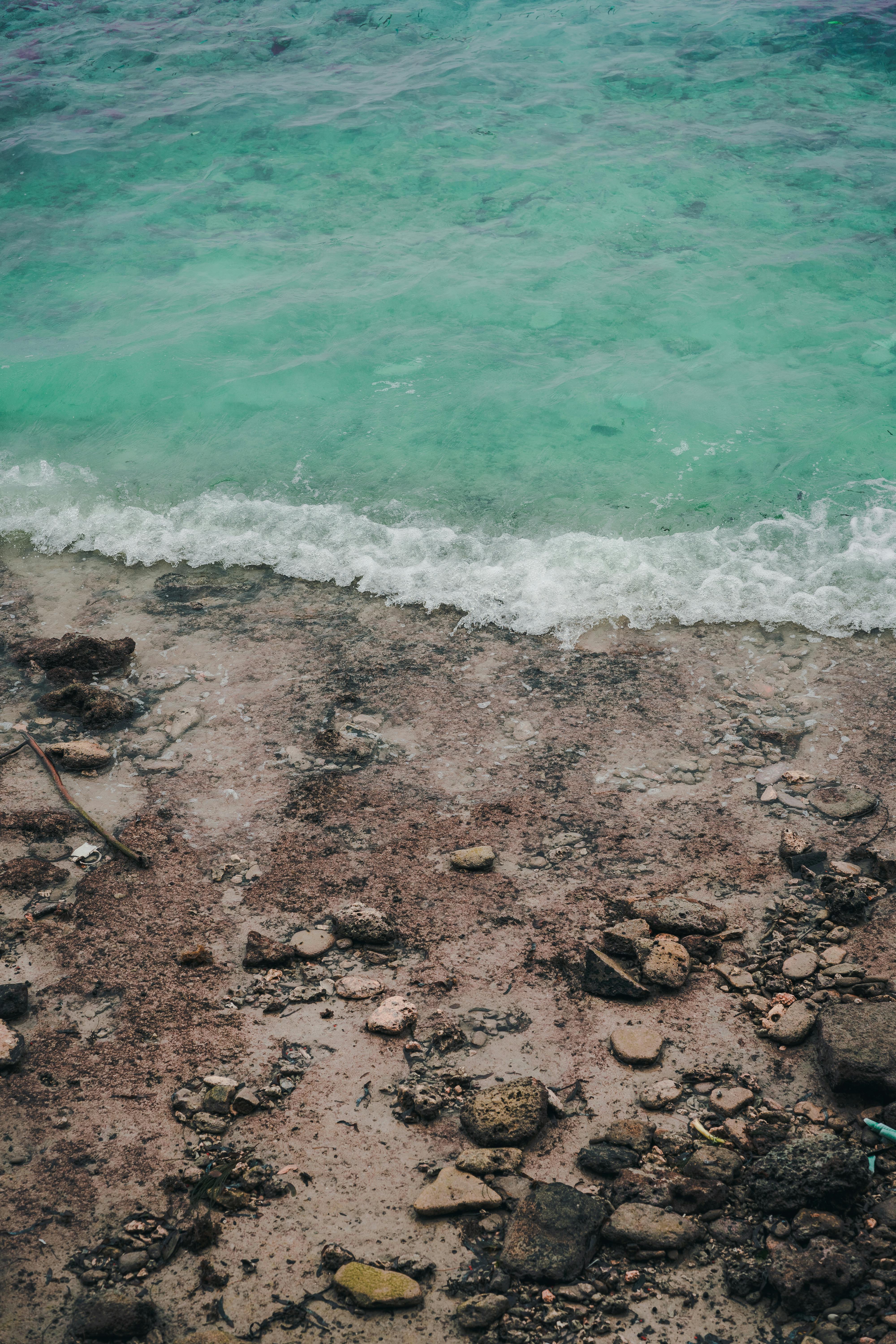 Photo of a Sea and Seashore · Free Stock Photo