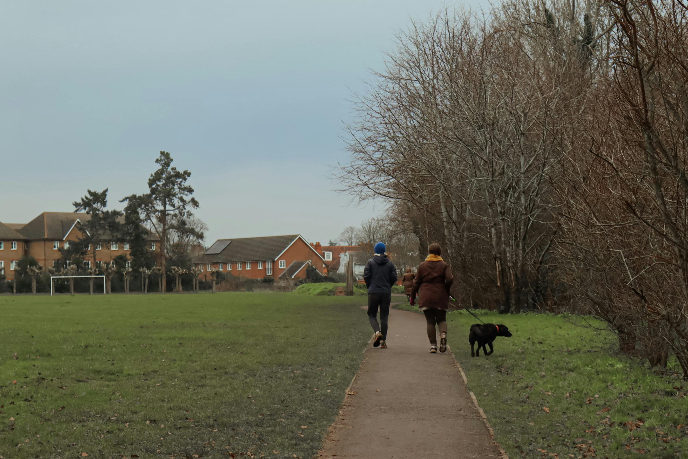 People Walking on Paved Pathway · Free Stock Photo