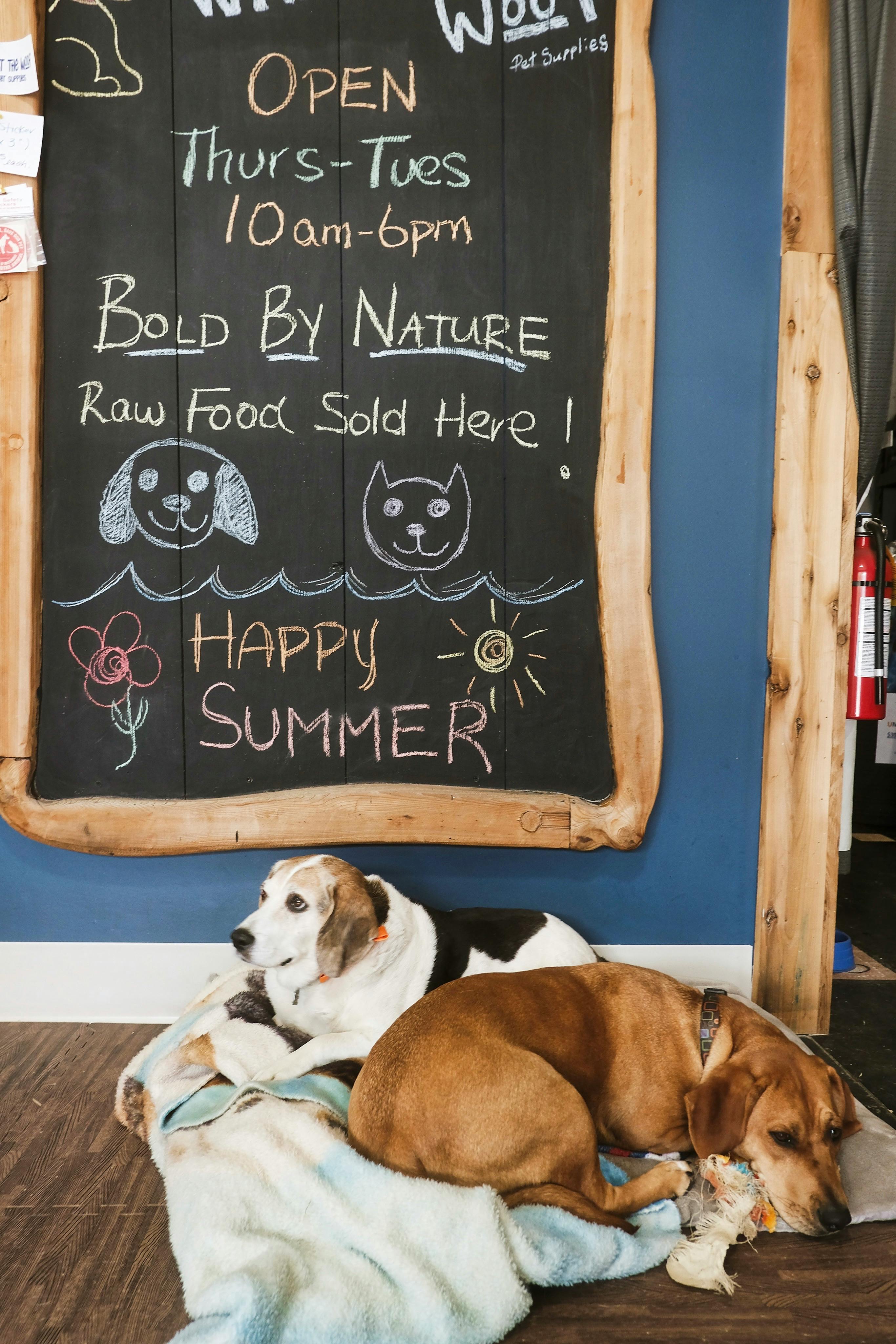 Text Animation Photos, Download The BEST Free Text Animation Stock ...