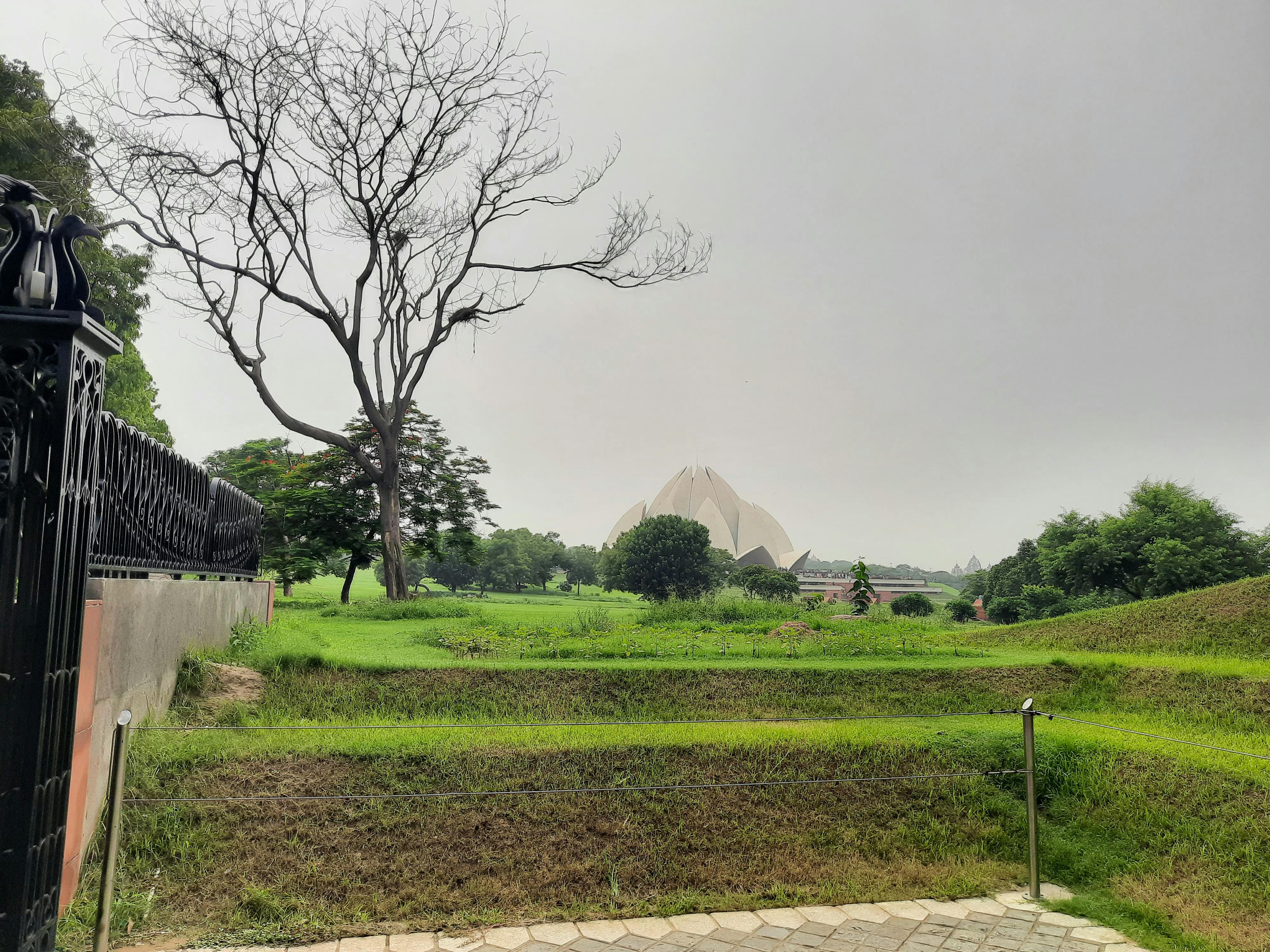 Deepak Pokhrel - 사진