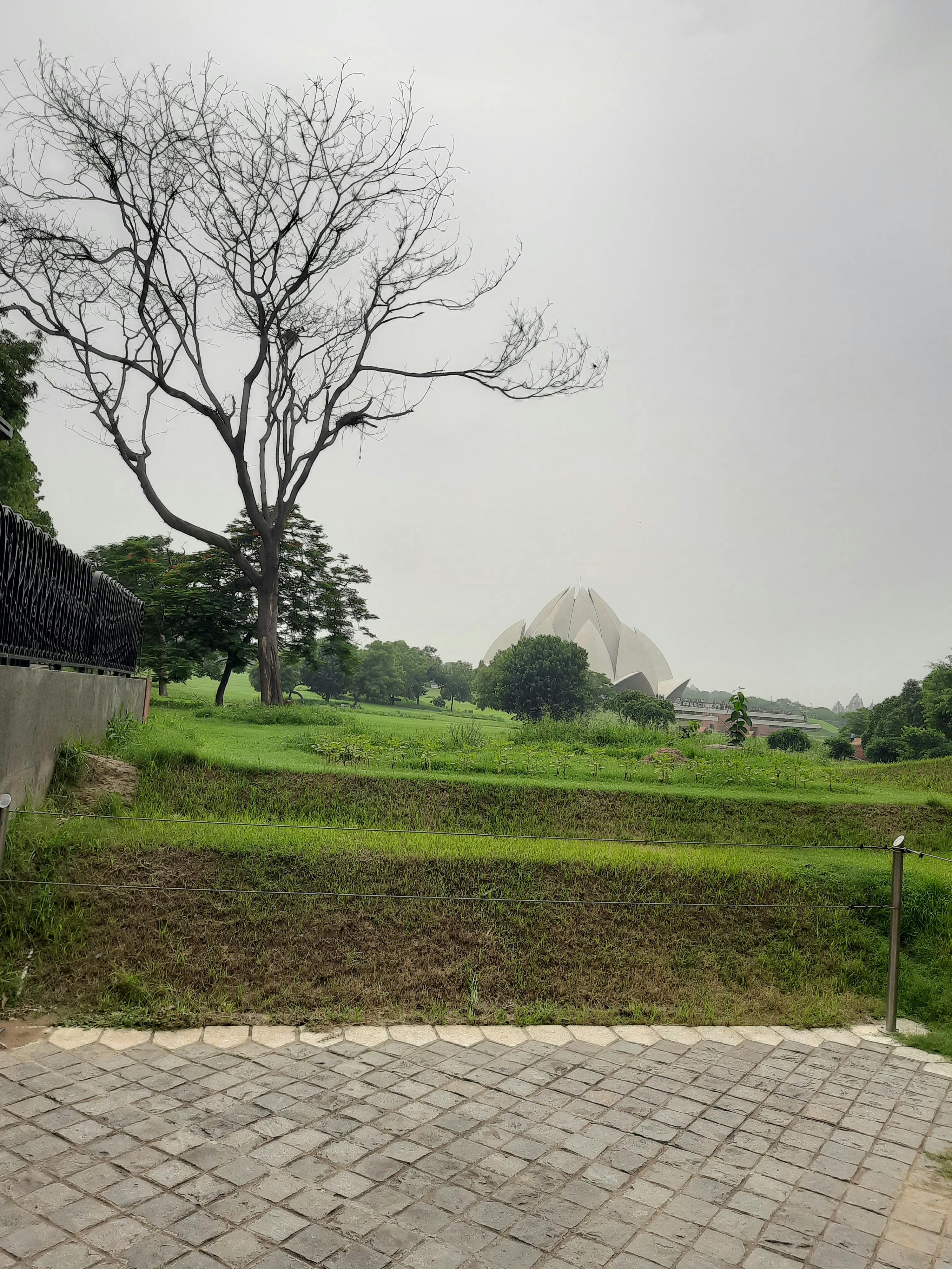 Deepak Pokhrel - 写真