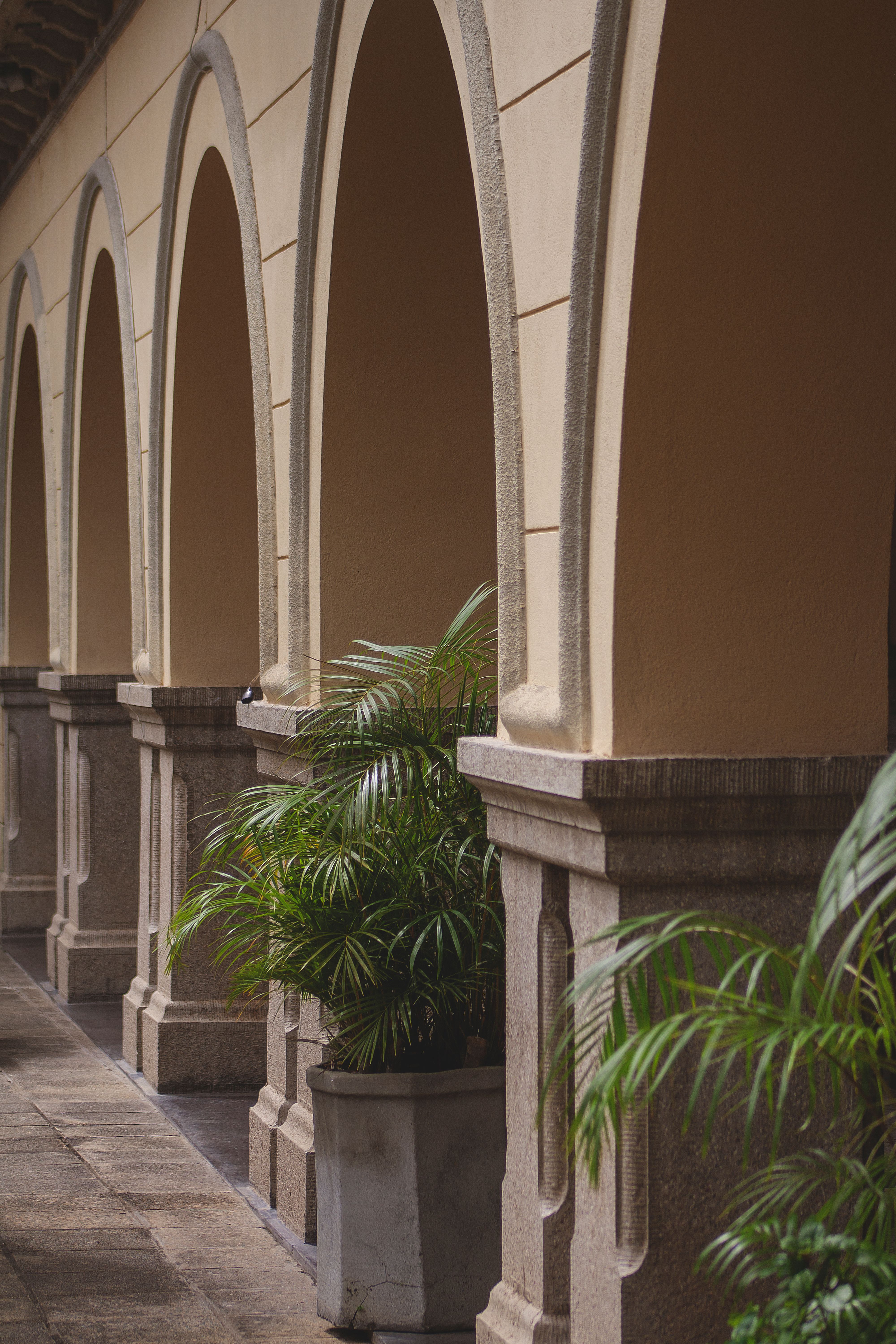 Potted Plants under Arches · Free Stock Photo
