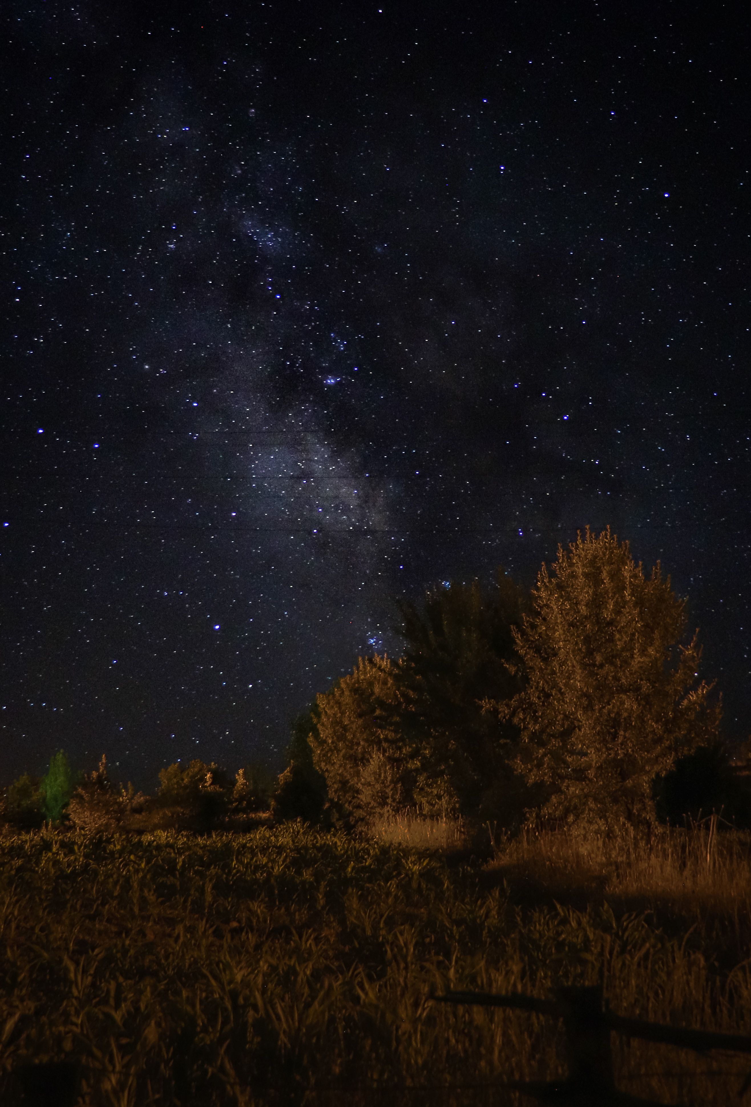 Landscape against a Starry Night Sky · Free Stock Photo