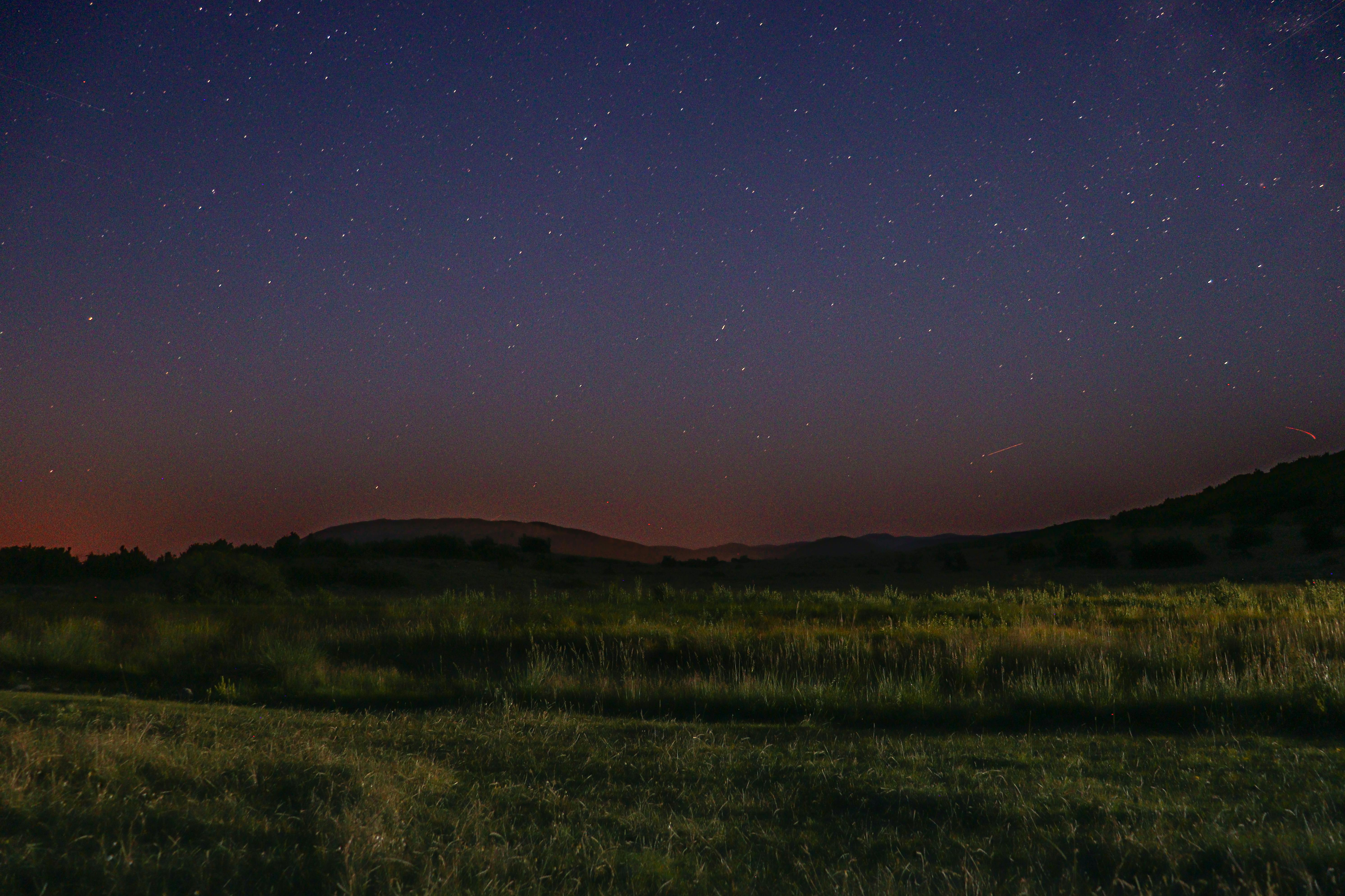 Starry Sky above Grass Field · Free Stock Photo