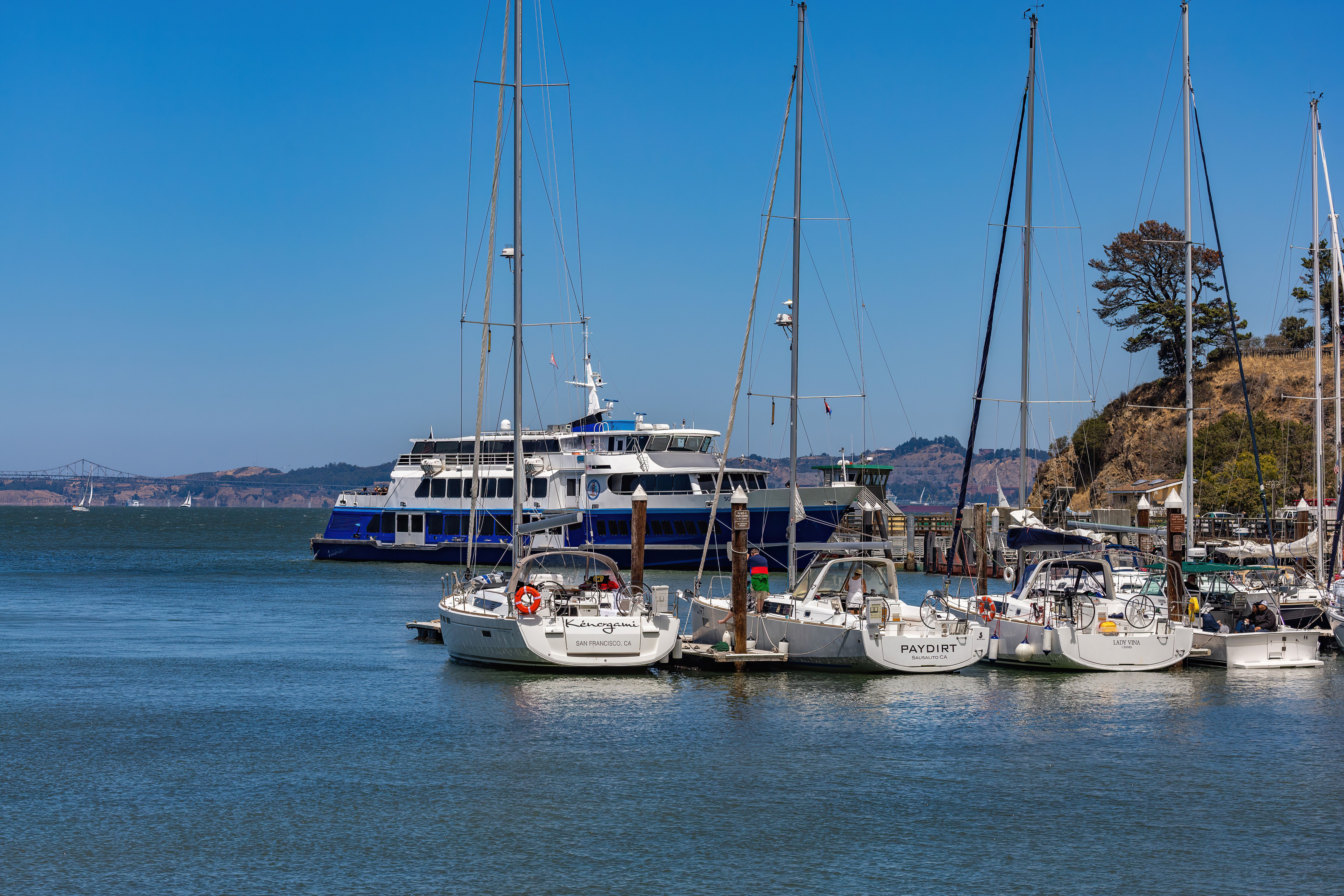 Yachts Docked on a Marina Bay · Free Stock Photo