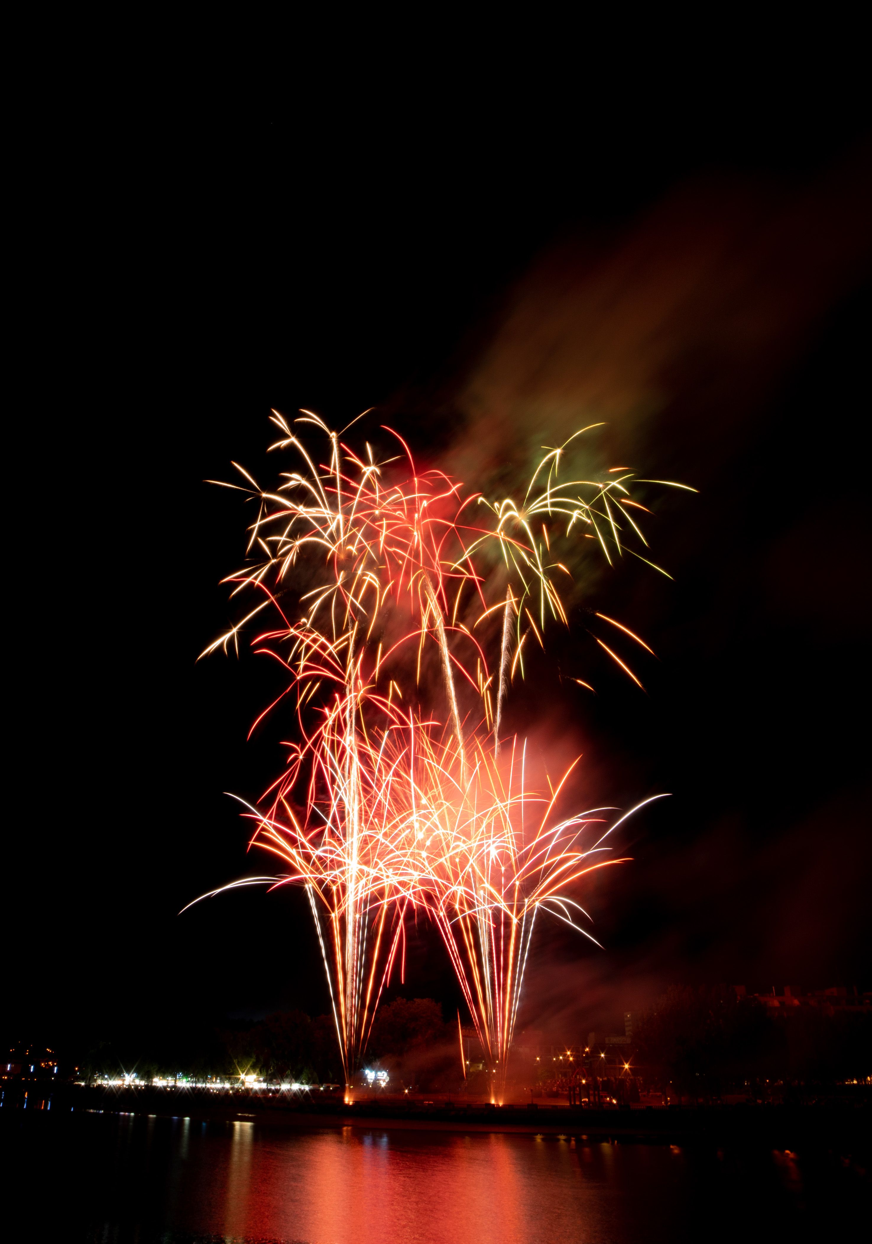 Fireworks in the Night Sky · Free Stock Photo