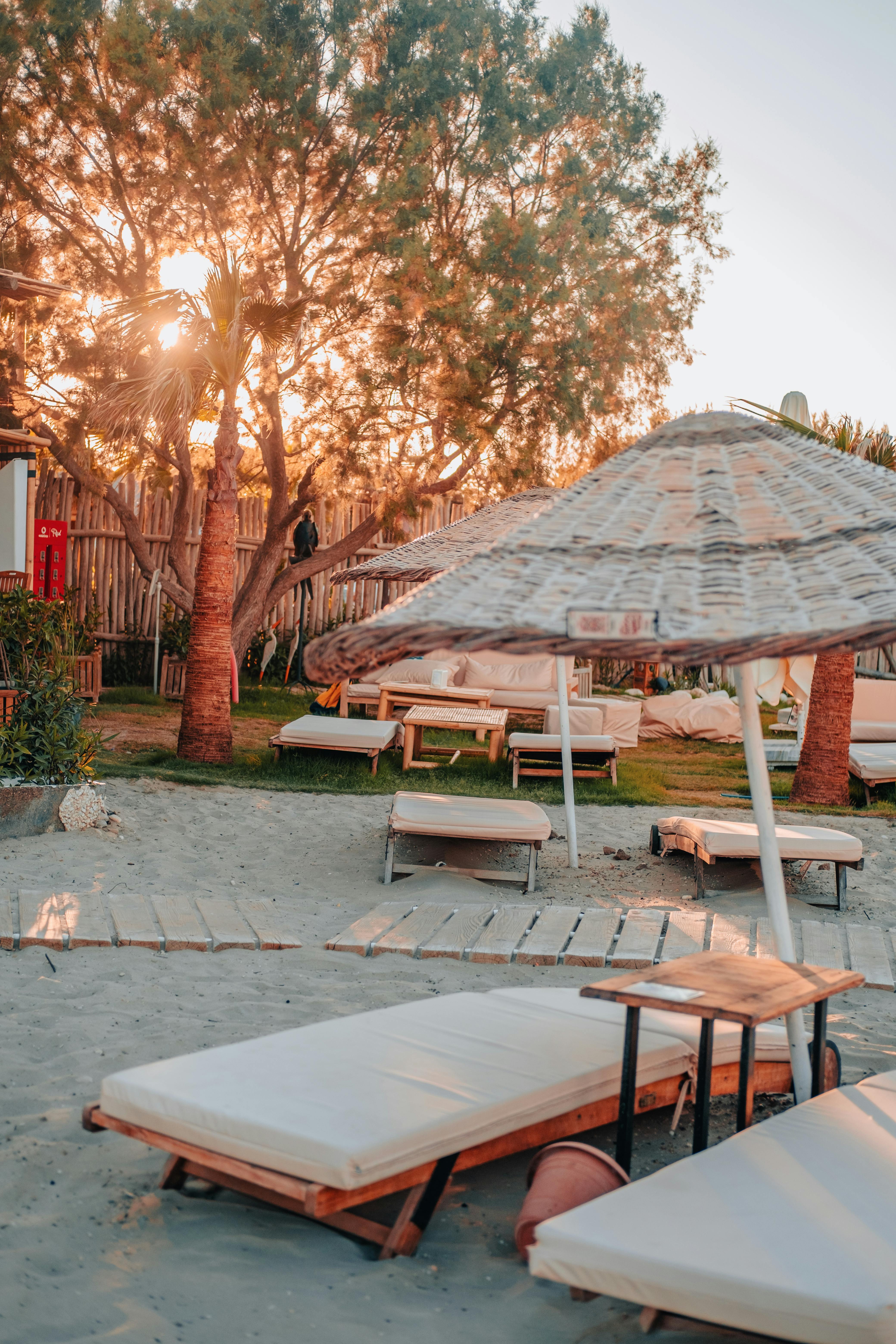 Beach Tree Umbrella Photos, Download The BEST Free Beach Tree Umbrella ...