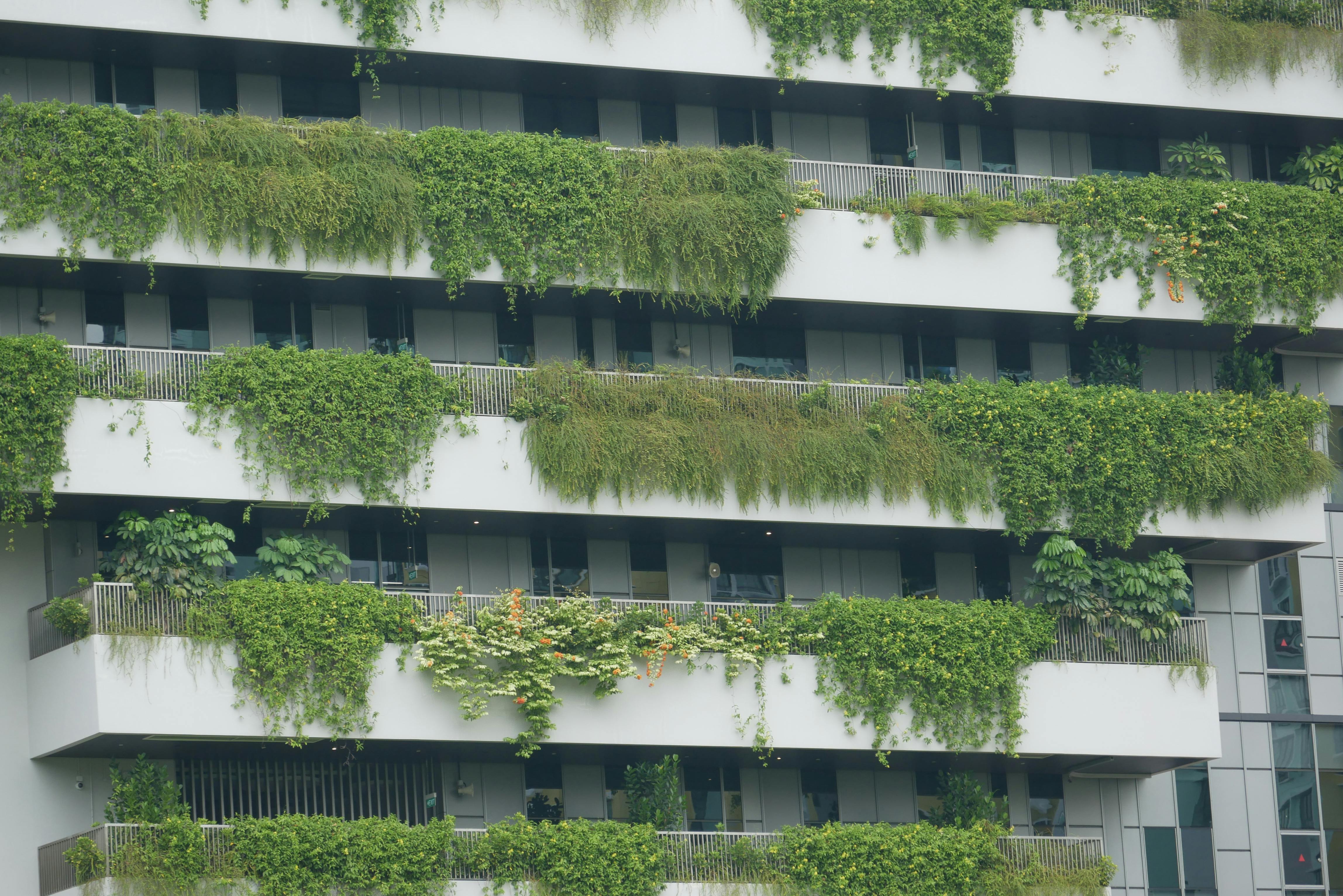 Building Facade with Plants on Balconies · Free Stock Photo