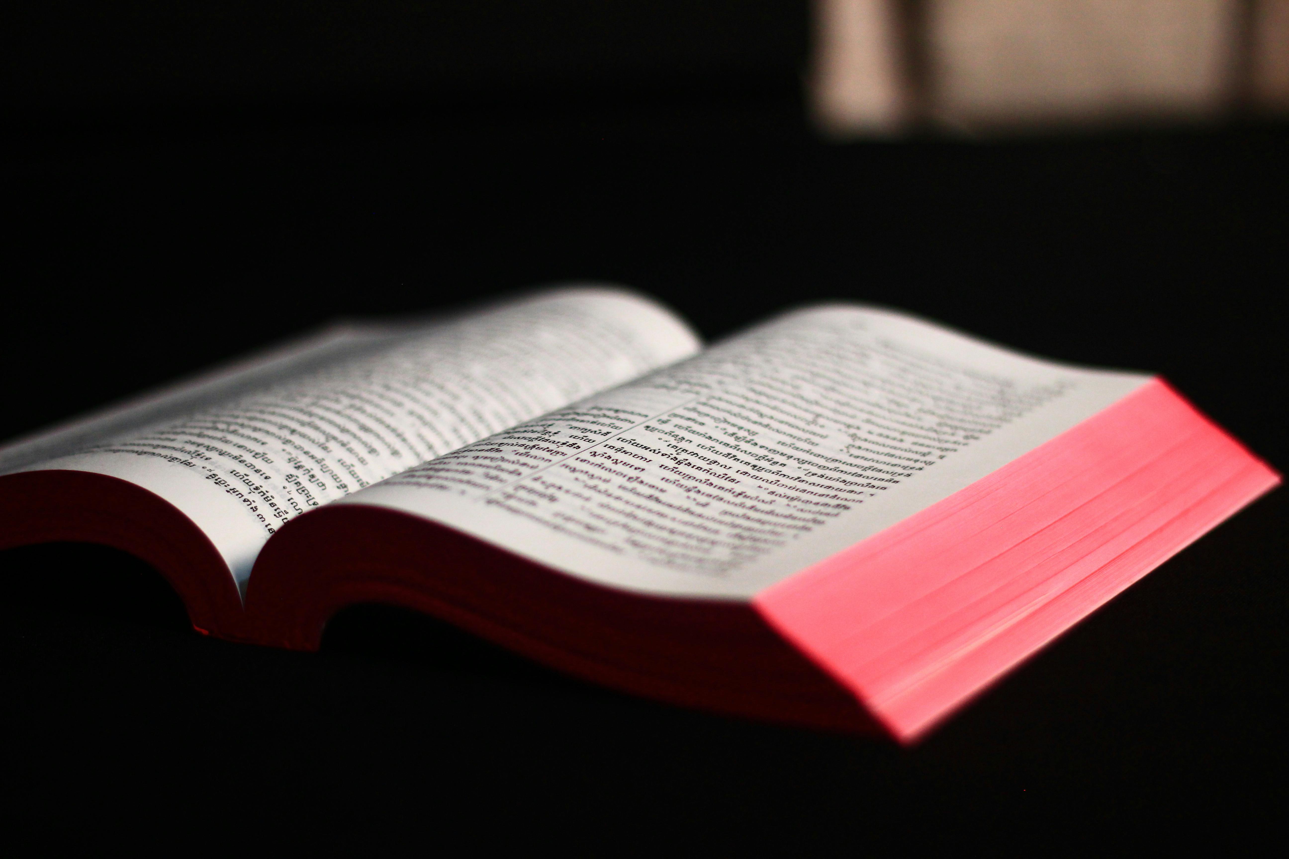 Focus Photo of Open Book · Free Stock Photo