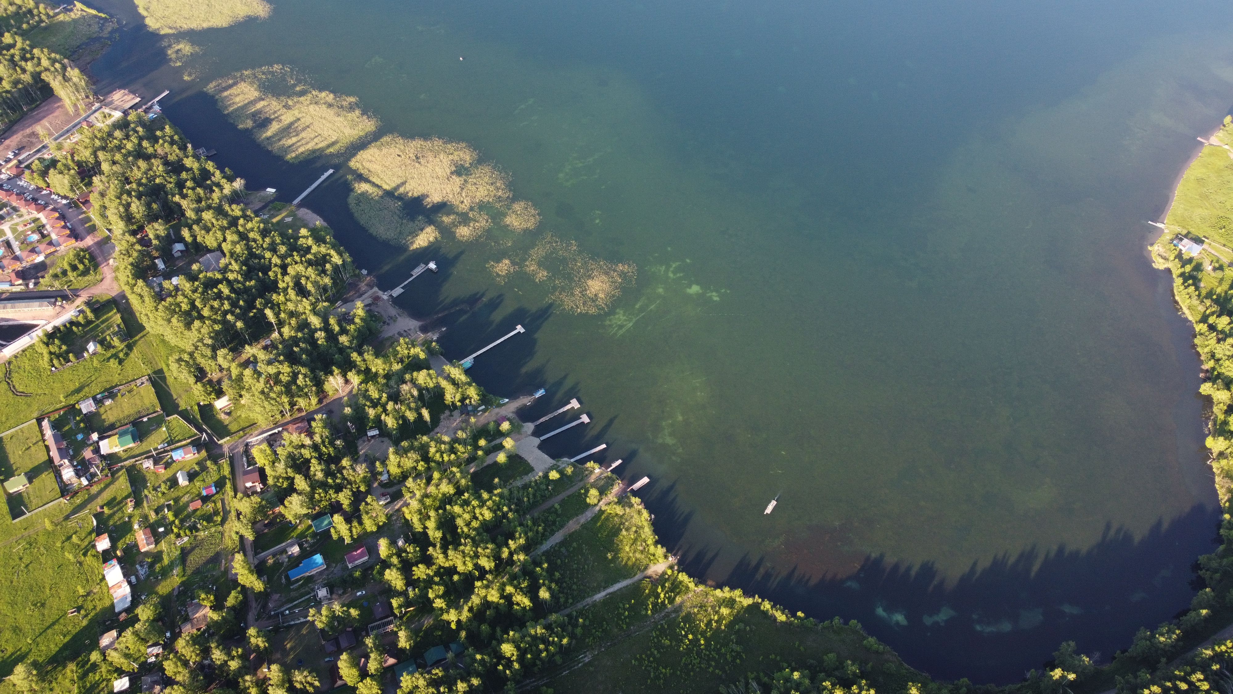 Aerial View of a Small Forested Bay in Summer · Free Stock Photo