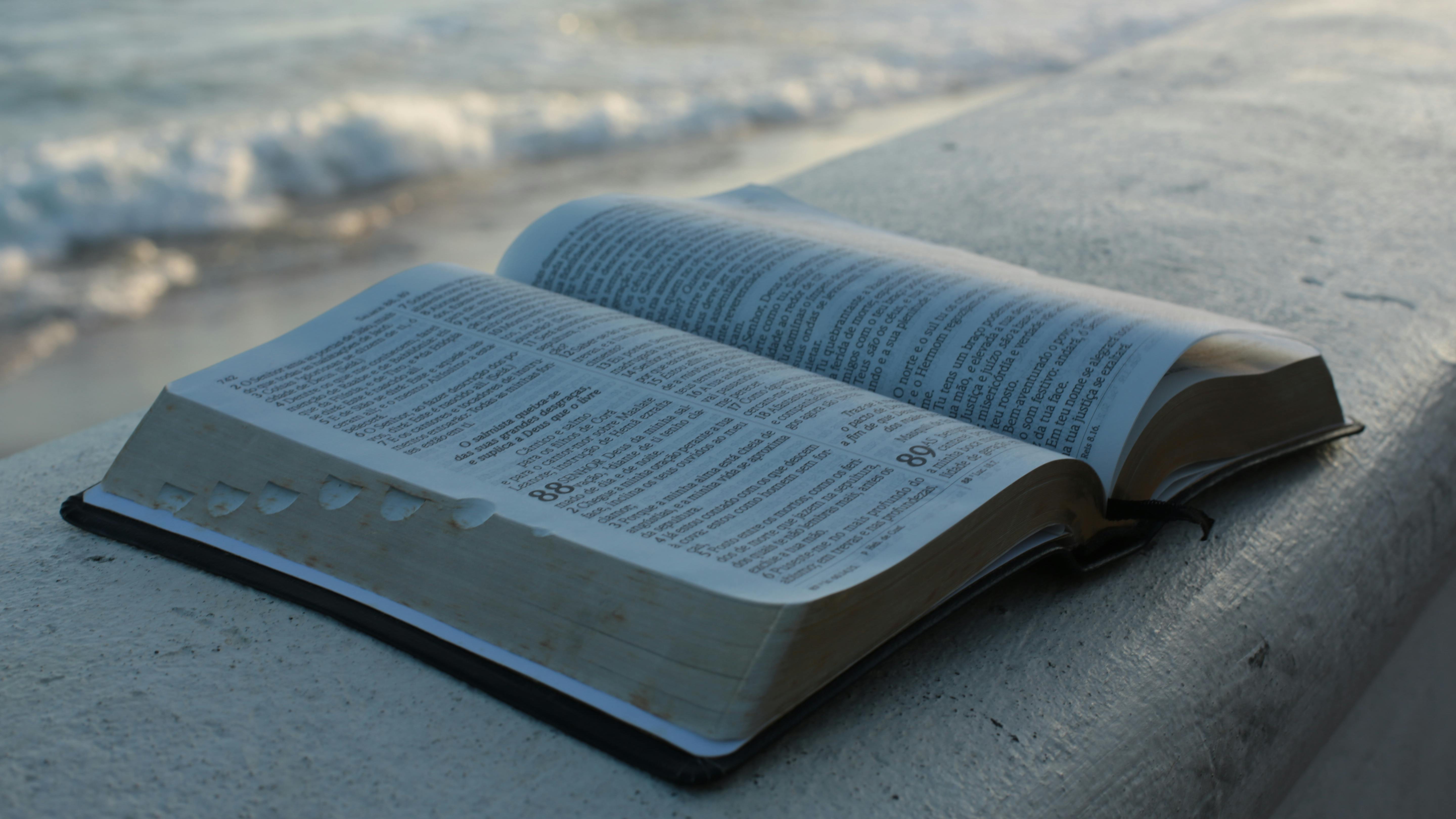 A Close-Up Shot of an Open Holy Bible on a Concrete Surface · Free ...