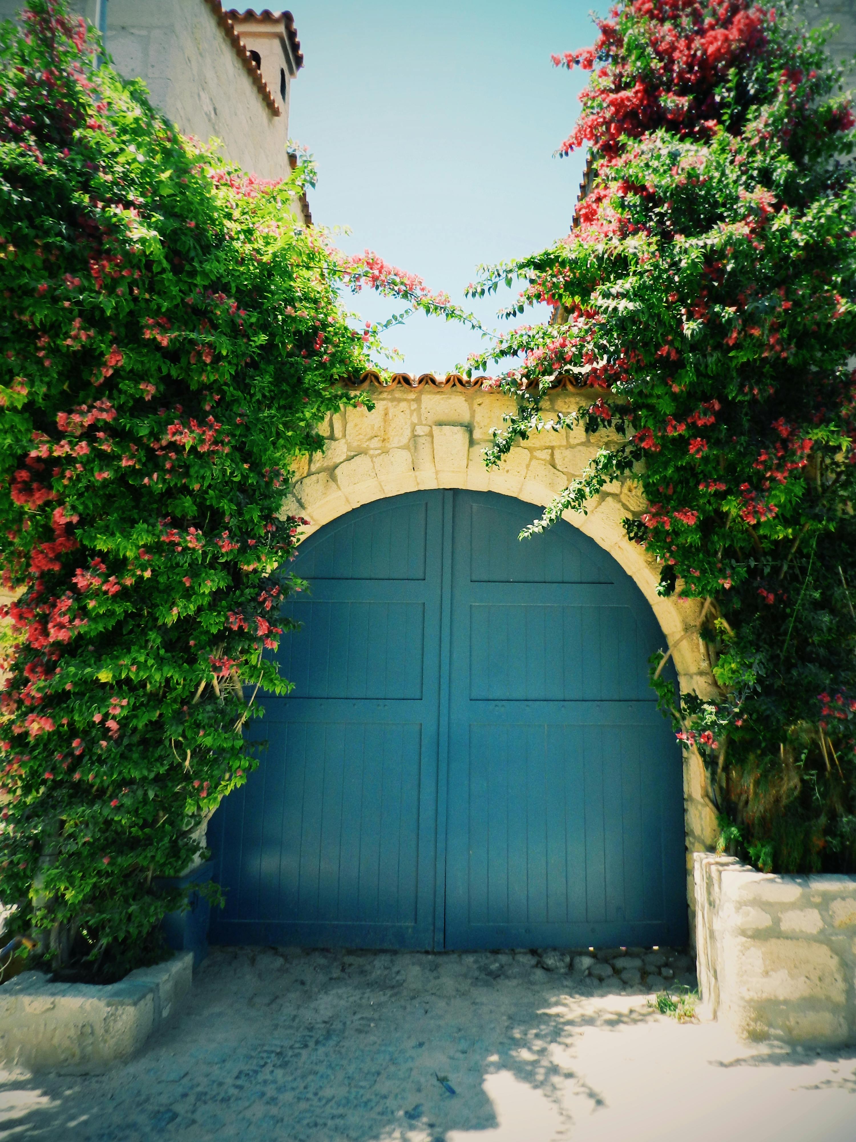 A Blue Gate of a House · Free Stock Photo