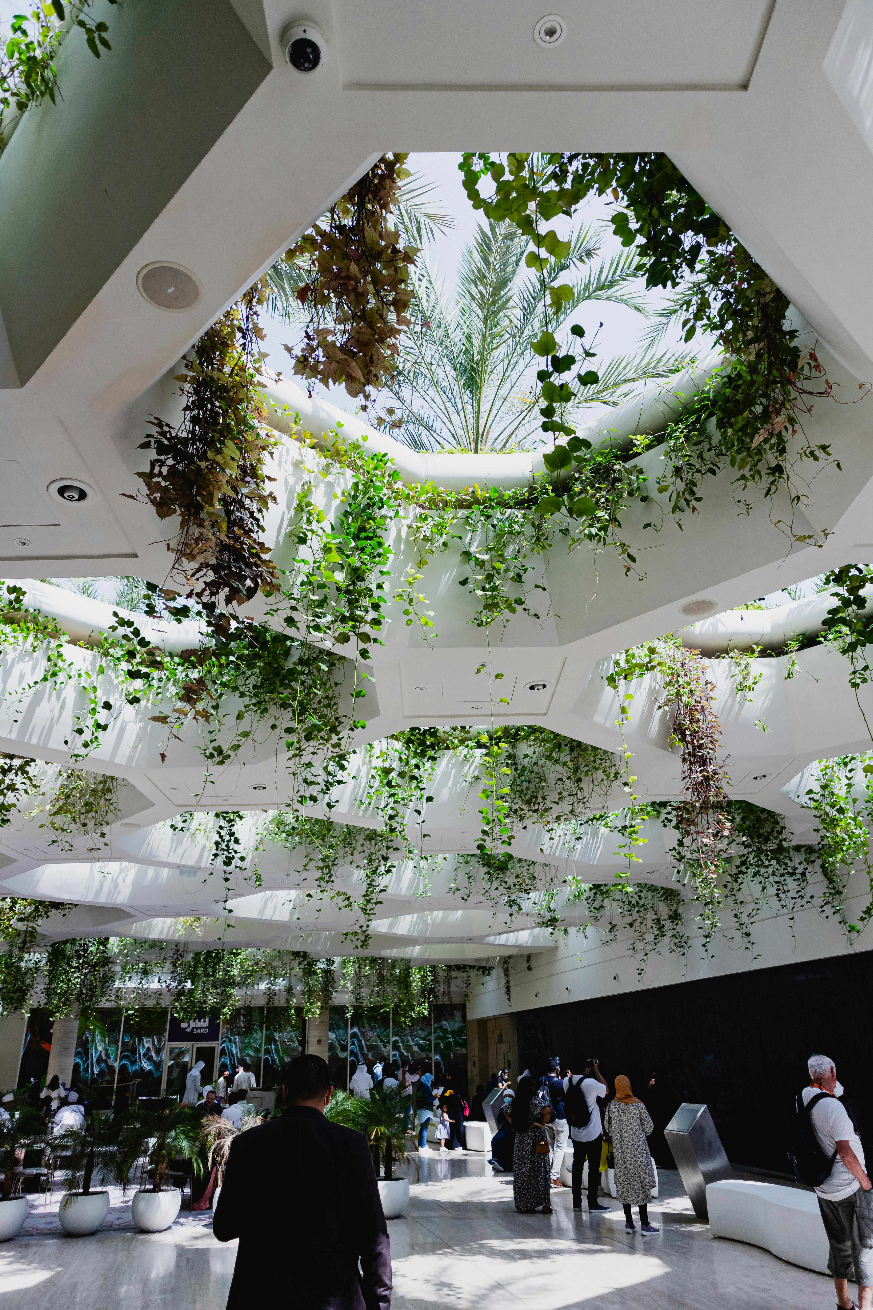 Plants Hanging from Roof of Expo 2020 Pavilion · Free Stock Photo