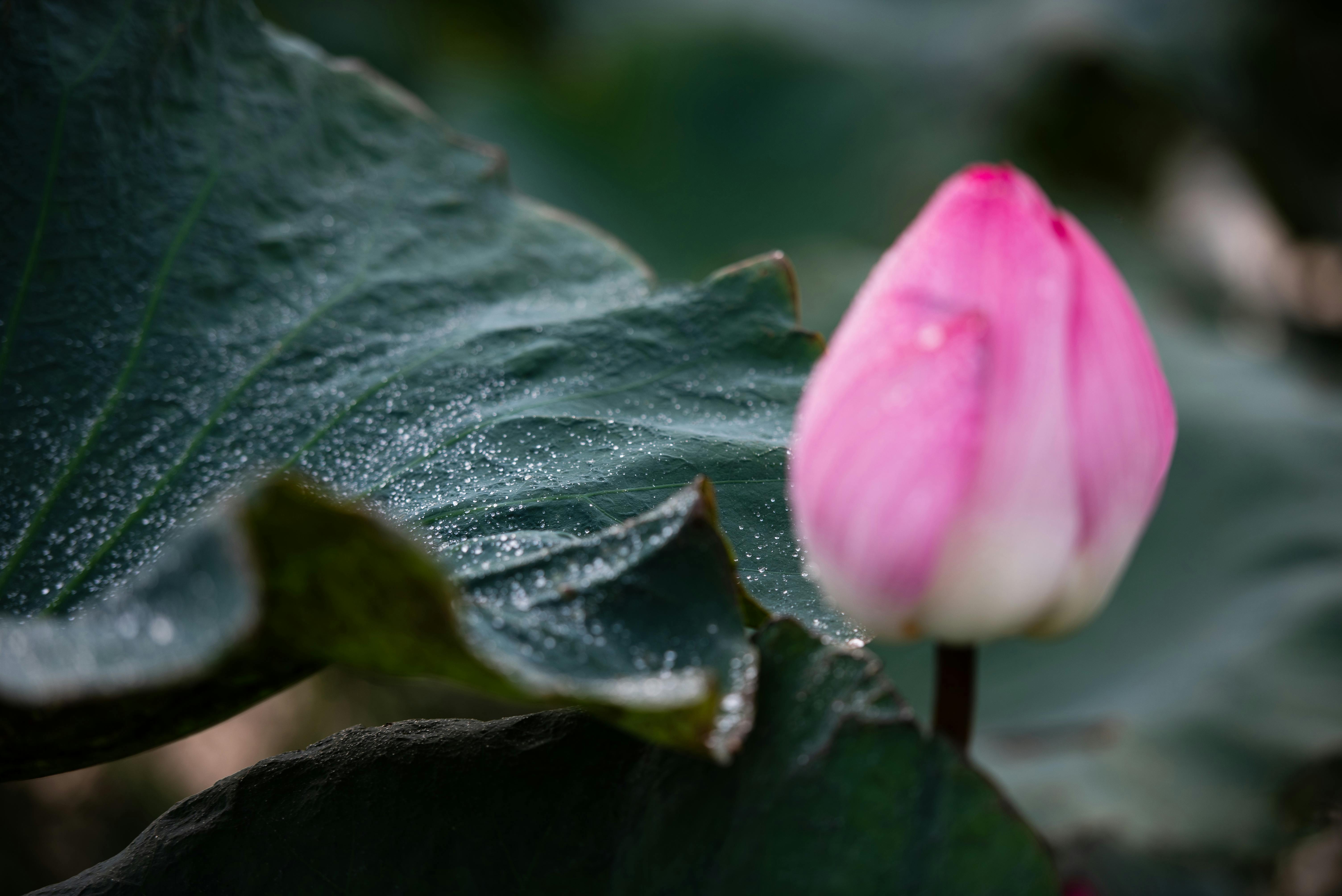 Max Chen - Photography