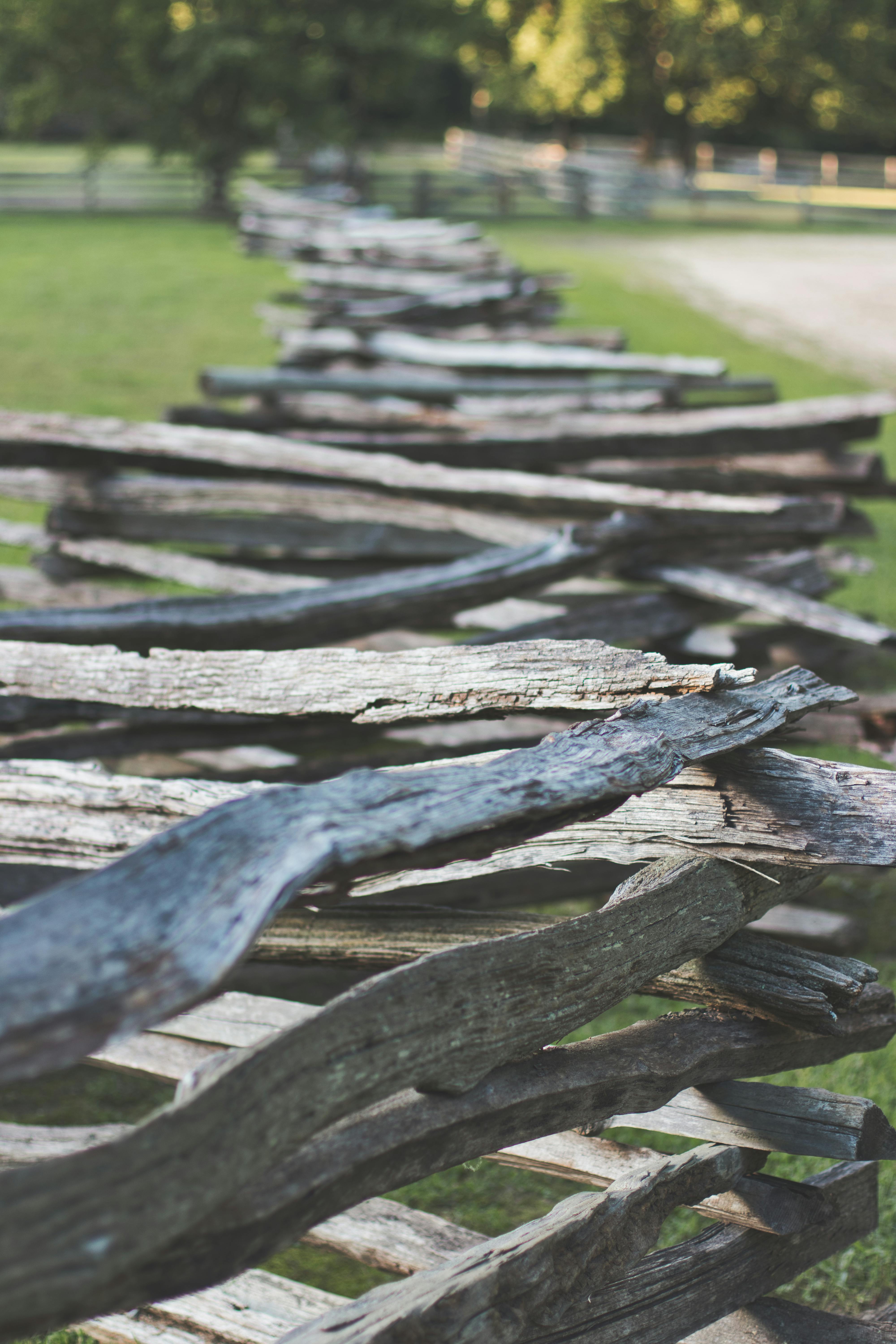 Natural Boundary Photos, Download The BEST Free Natural Boundary Stock ...