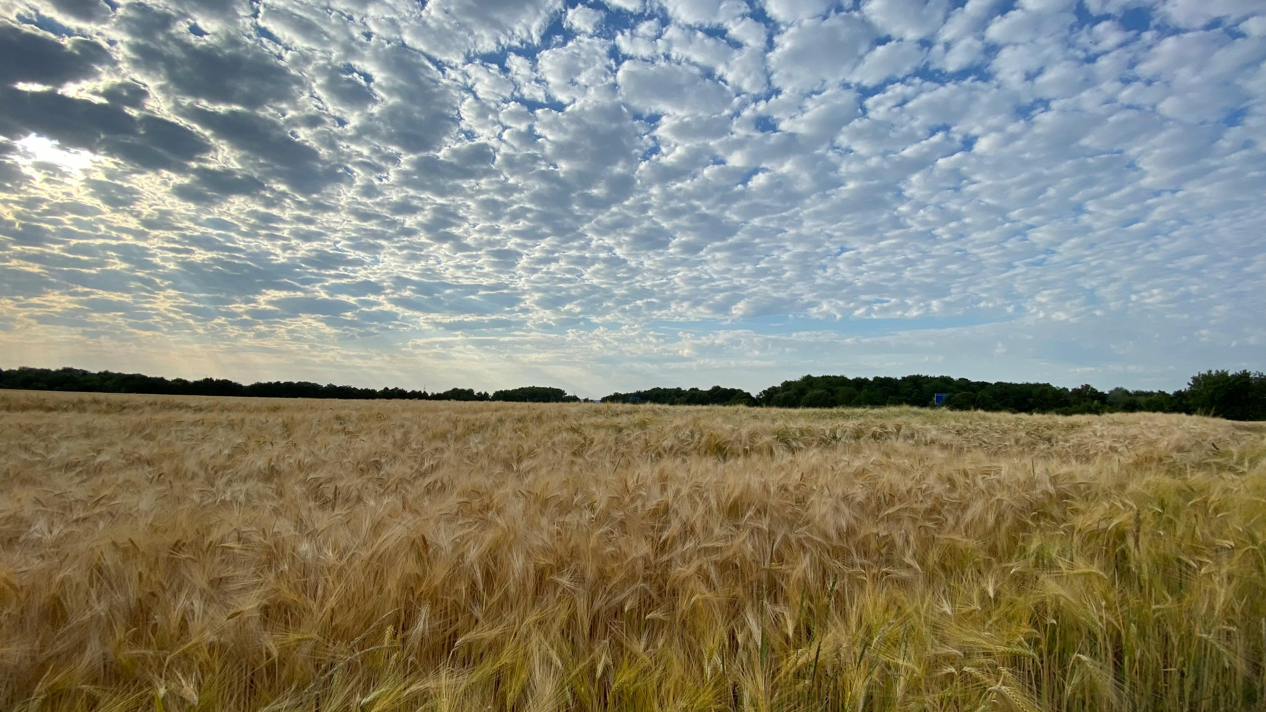 Elliot Kim - Photography