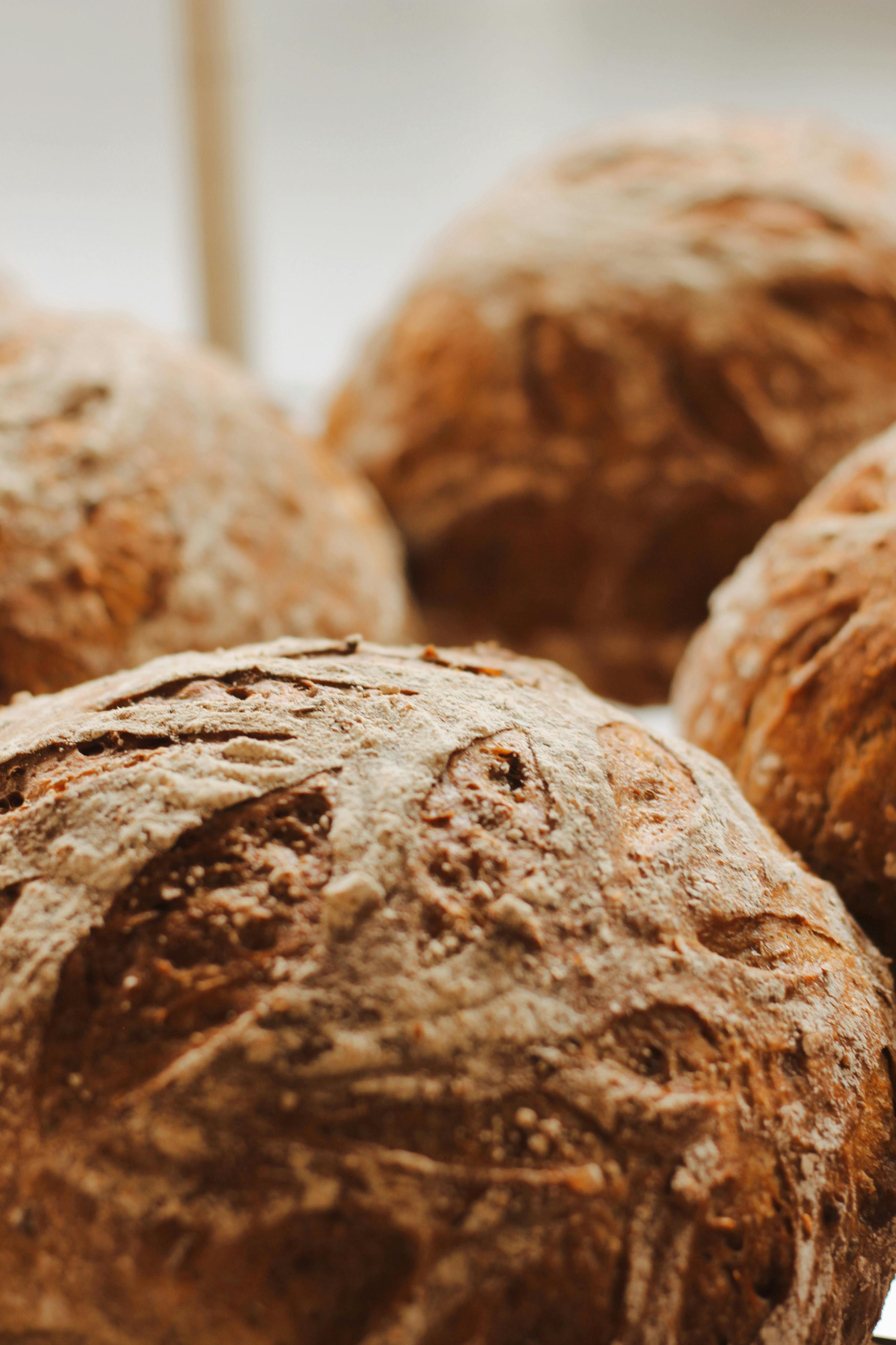 Brown Bread Dough In Close-up View · Free Stock Photo