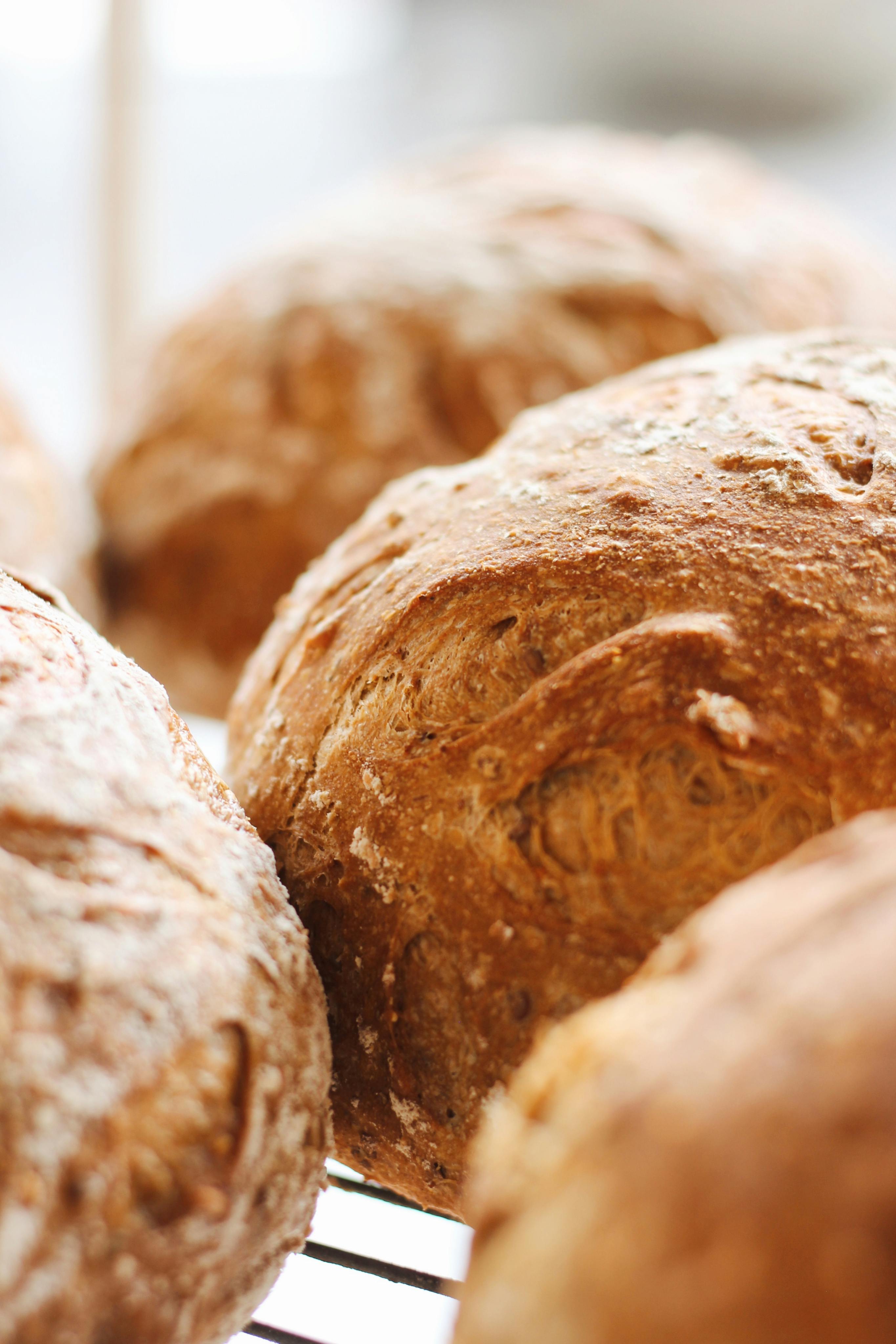 Bread Photos, Download The BEST Free Bread Stock Photos & HD Images